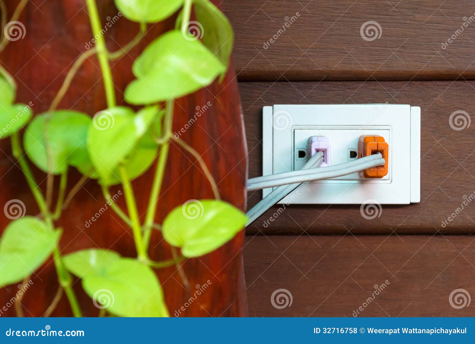 Plug and plant stock photo. Image of plant, power, branch - 32716758