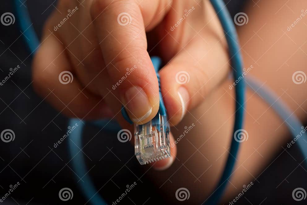 Plugging Networking Cable in Stock Image - Image of internet, receive ...