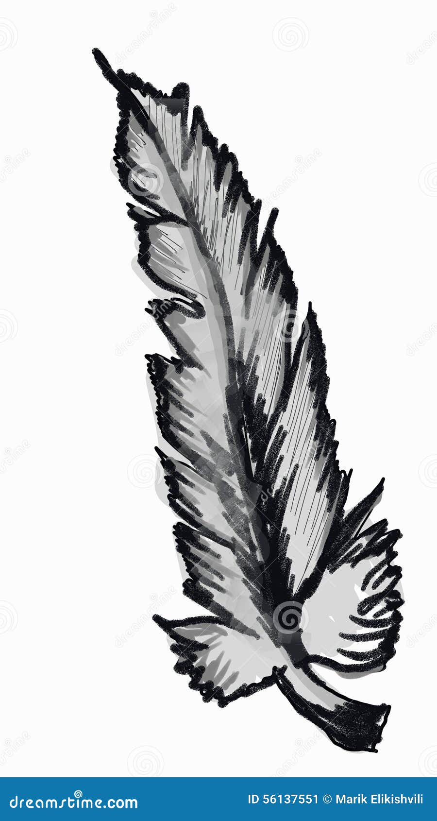 Pluim Zwart-witte Illustratie Stock Illustratie - Illustration of bruin ...
