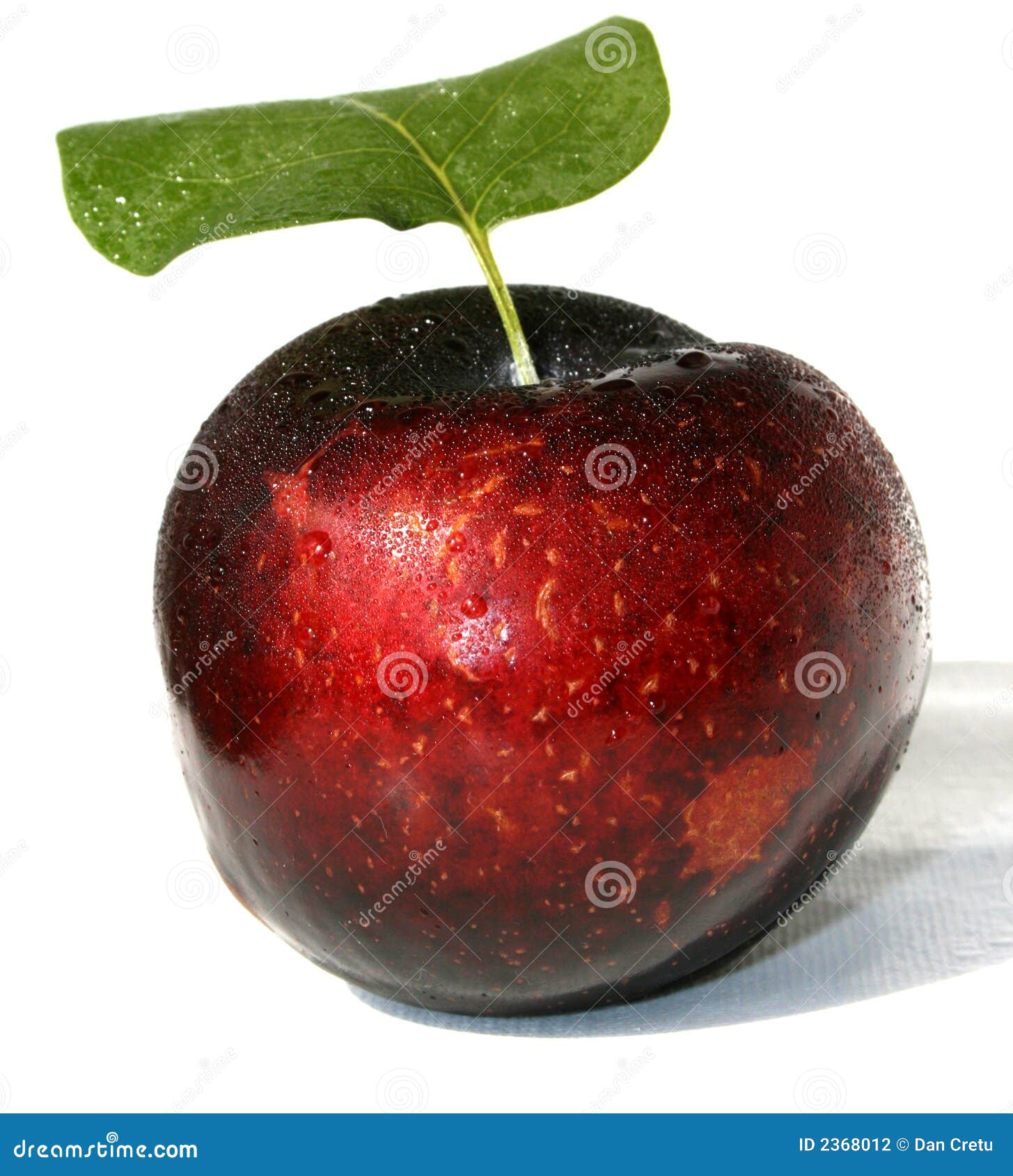 Plum stock photo. Image of close, color, ripe, plums, fresh - 2368012