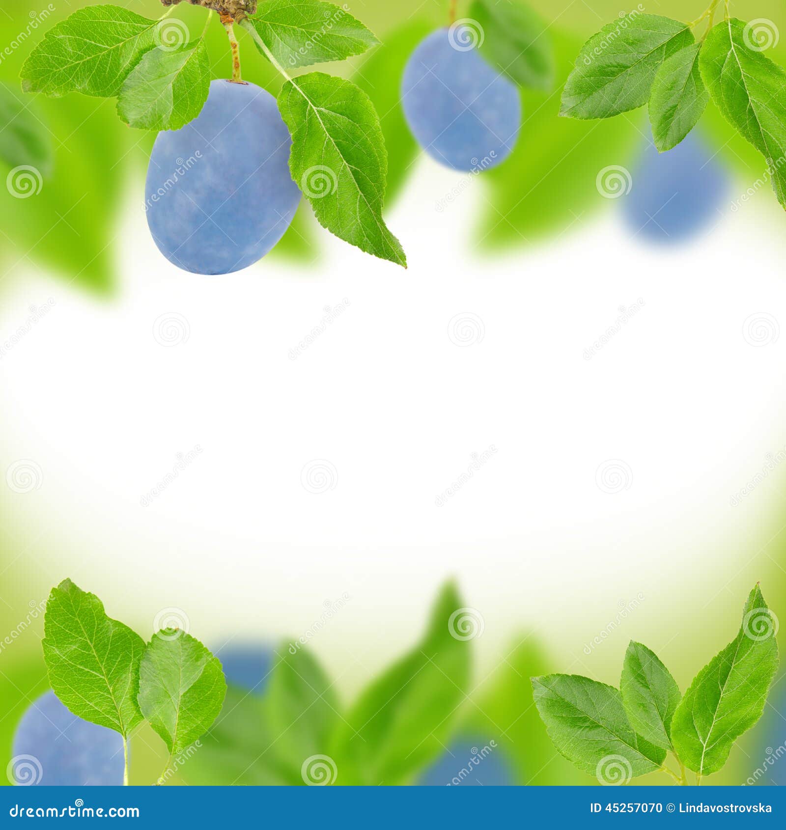 Plum abstract stock photo. Image of background, diet - 45257070