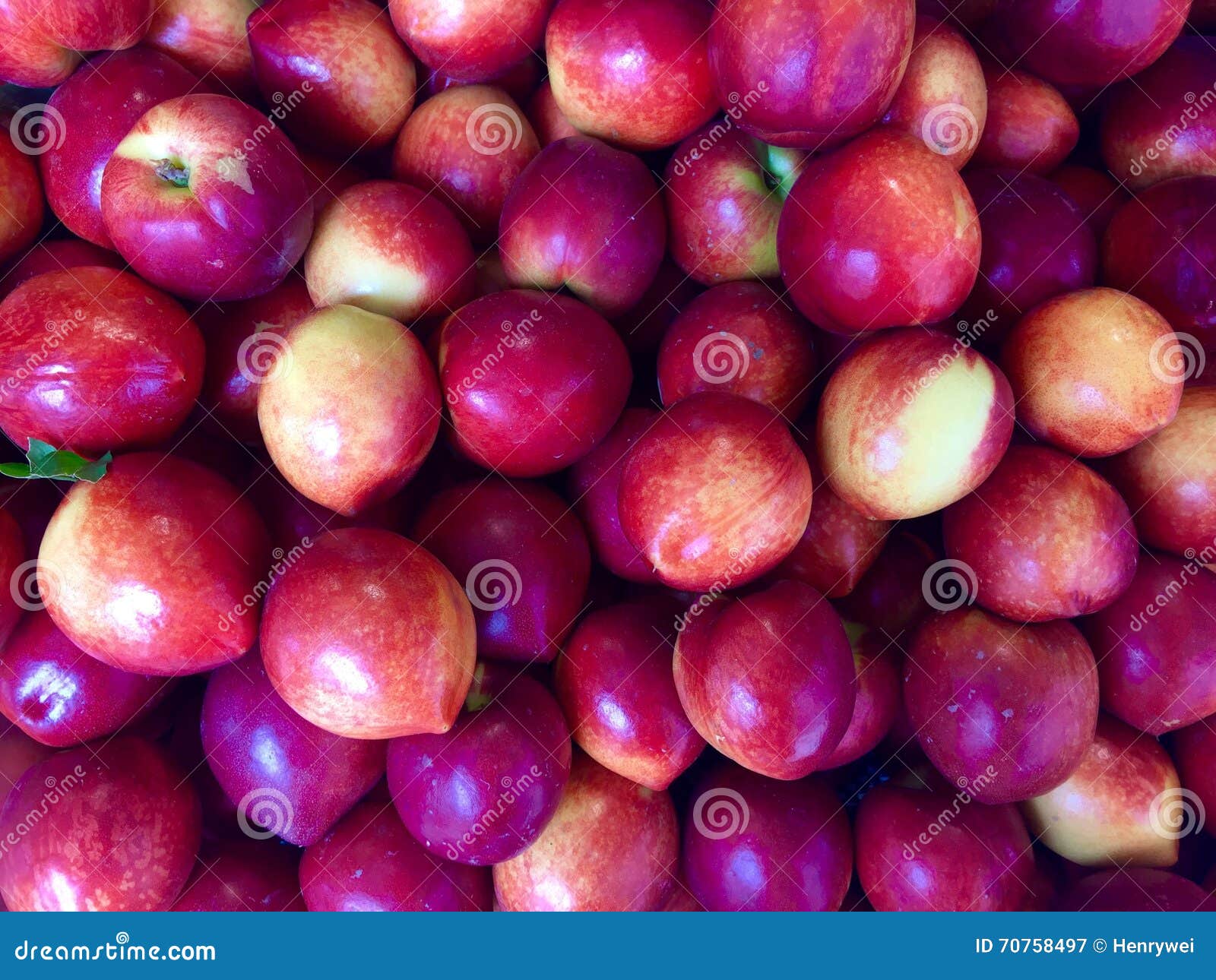 Plum background stock image. Image of leafs, leaves, eating - 70758497