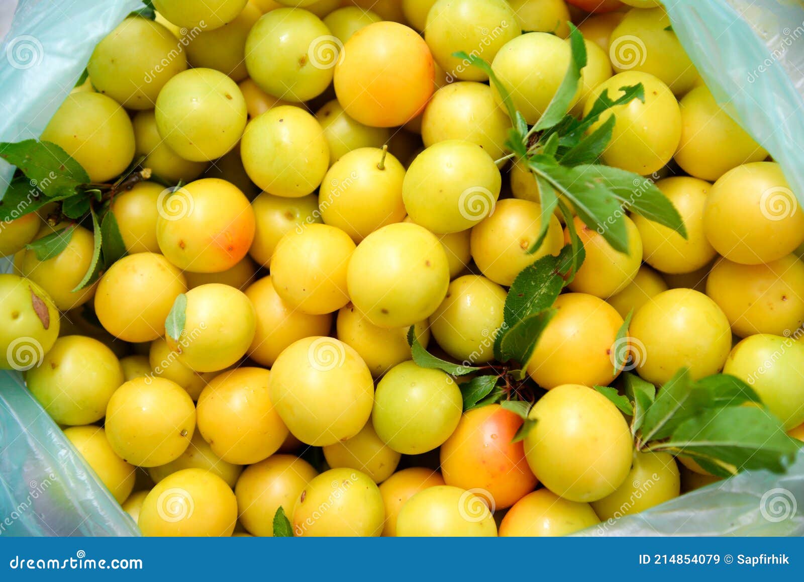 Plum berries stock image. Image of cherry, lime, diet - 214854079