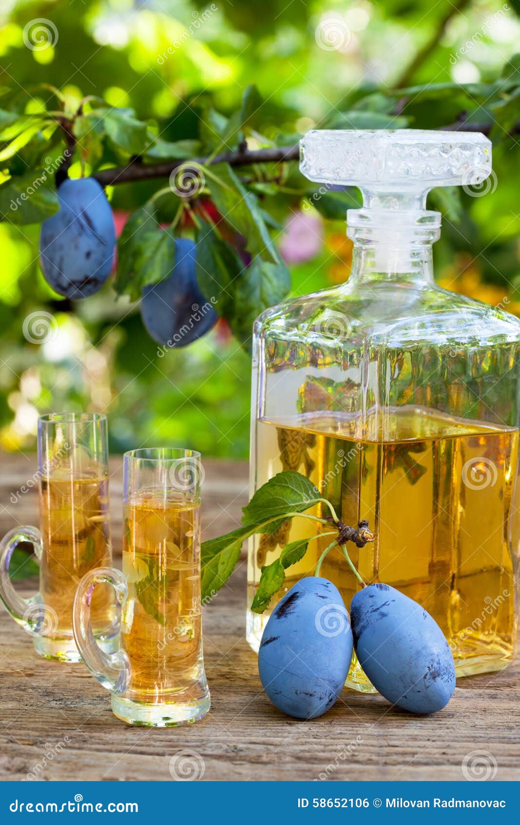 Plum brandy or rakija stock photo. Image of healthy, nature - 58652106