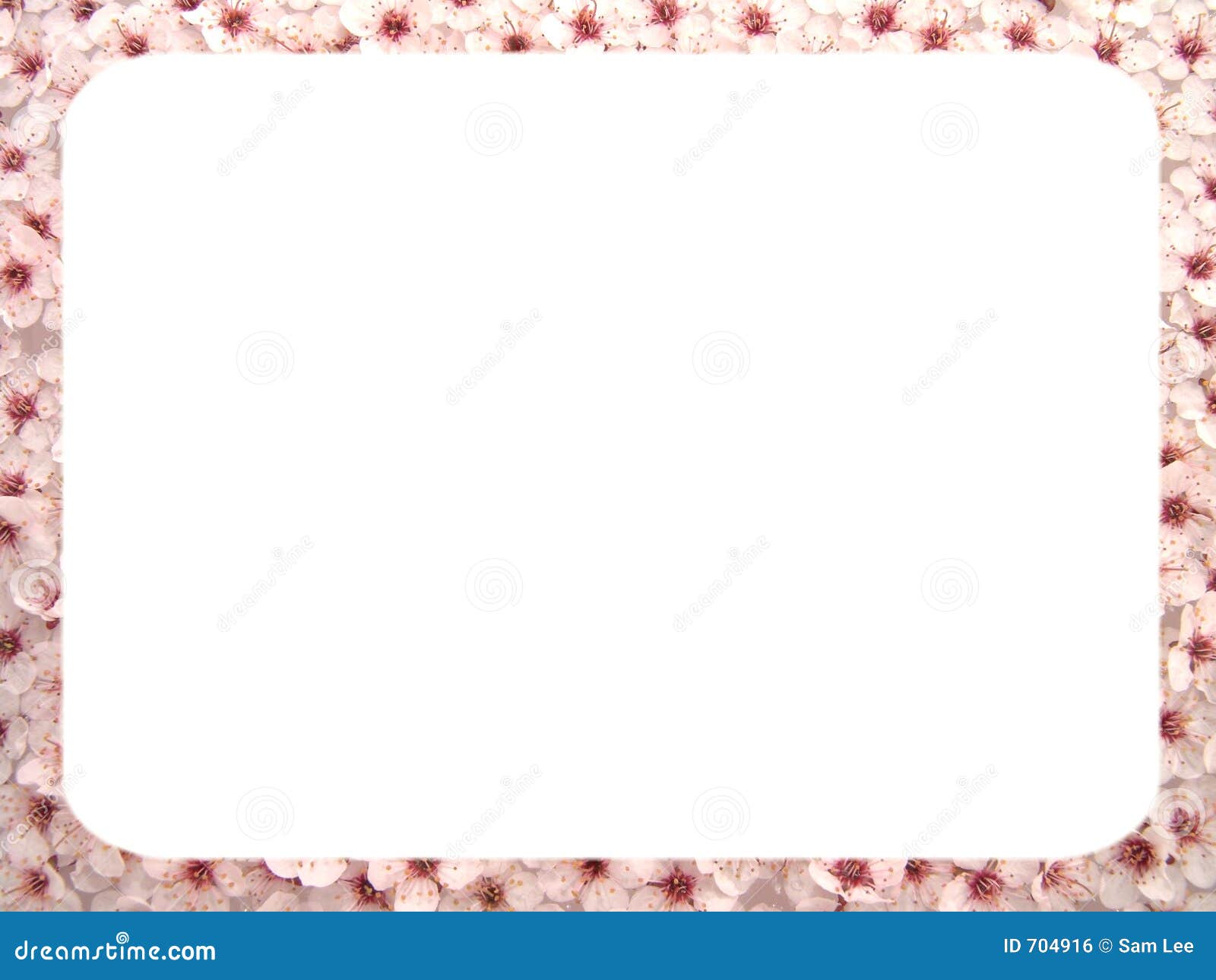 Plum Flowers Frame I stock photo. Image of pattern, care - 704916