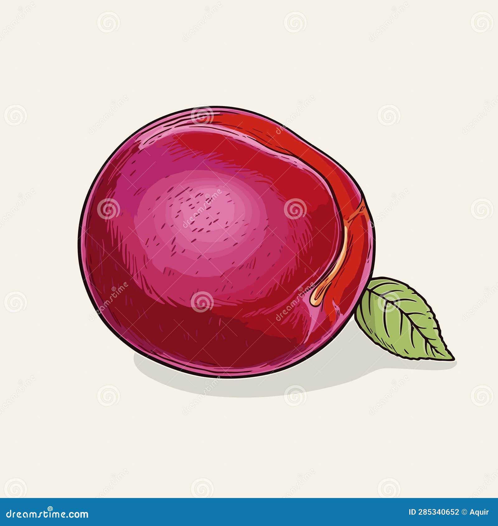 Plum. Plum Hand-drawn Comic Illustration. Vector Doodle Style Cartoon ...