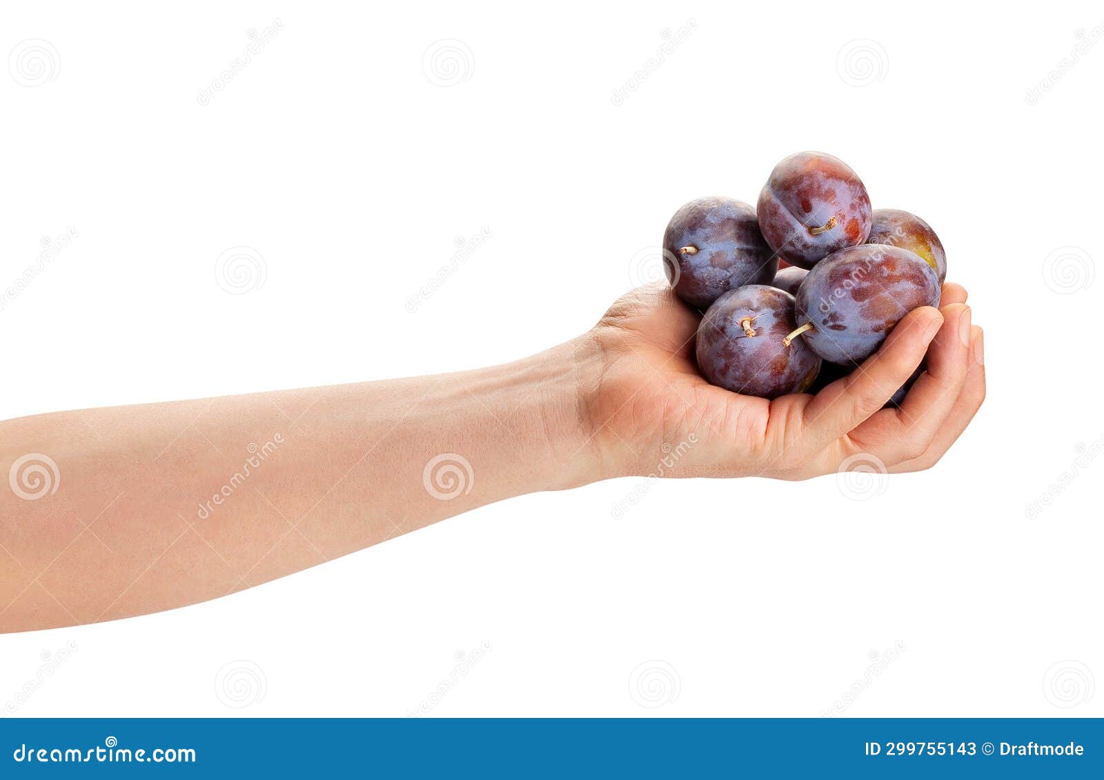 Plum in hand stock image. Image of food, fruit, isolated - 299755143