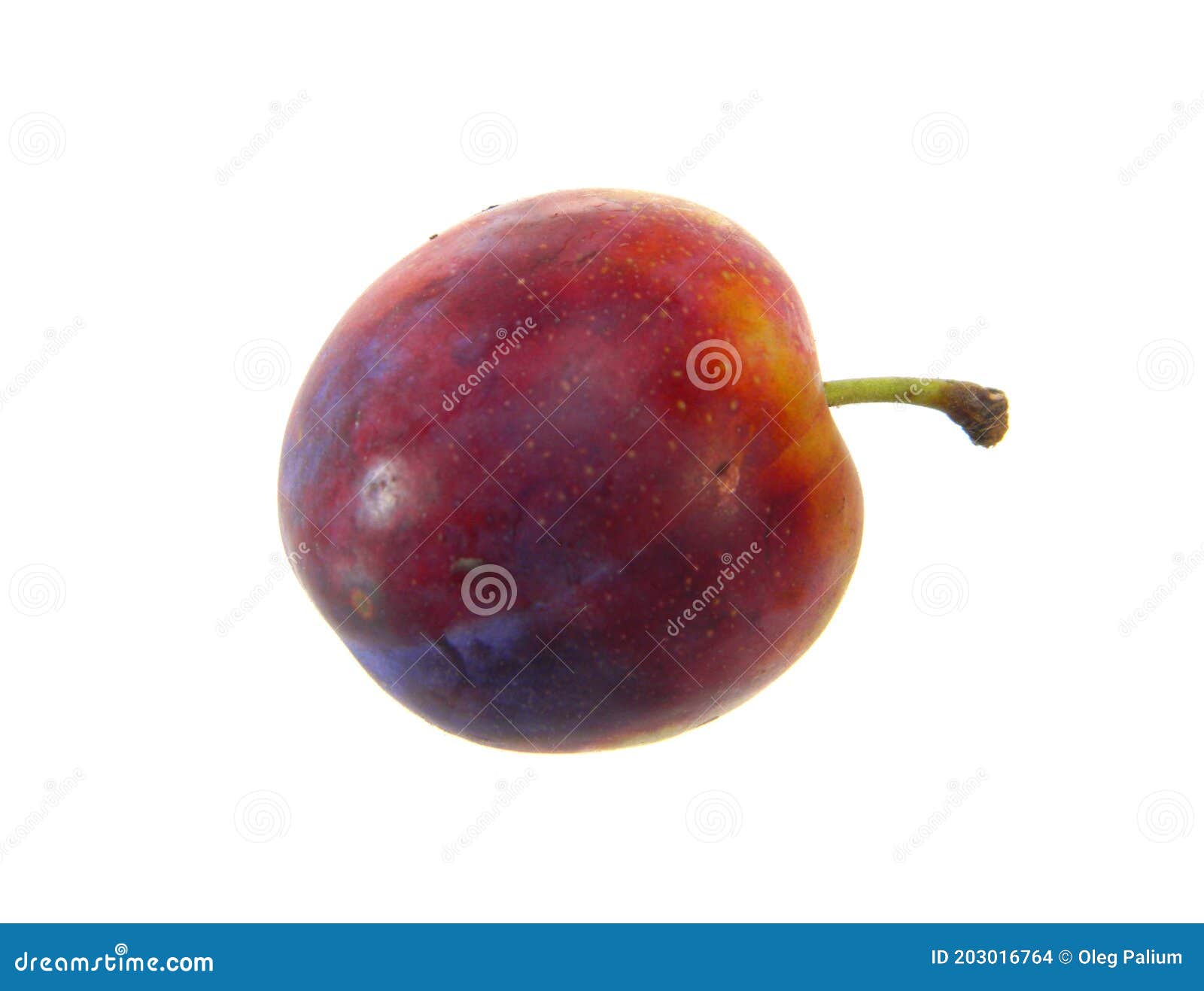 Plum Isolated on White Background Stock Photo - Image of green, brier ...