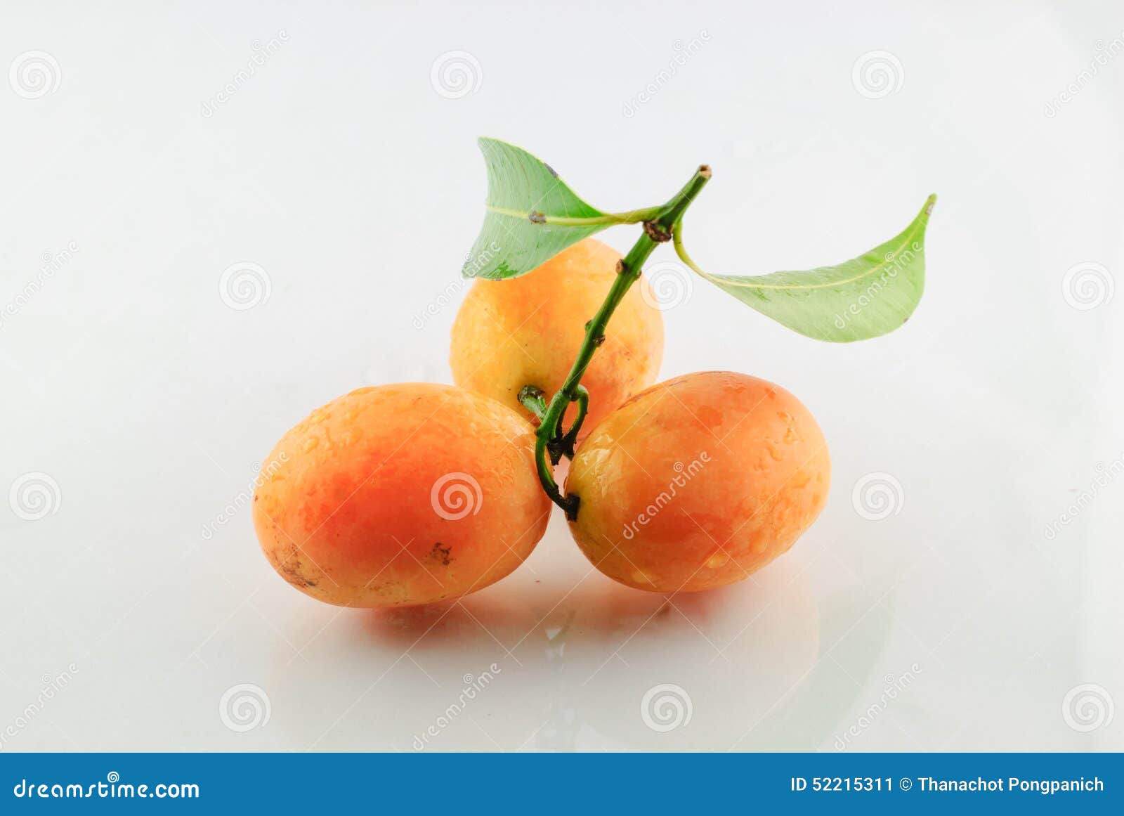 Plum mango stock image. Image of fruit, tropical, food - 52215311