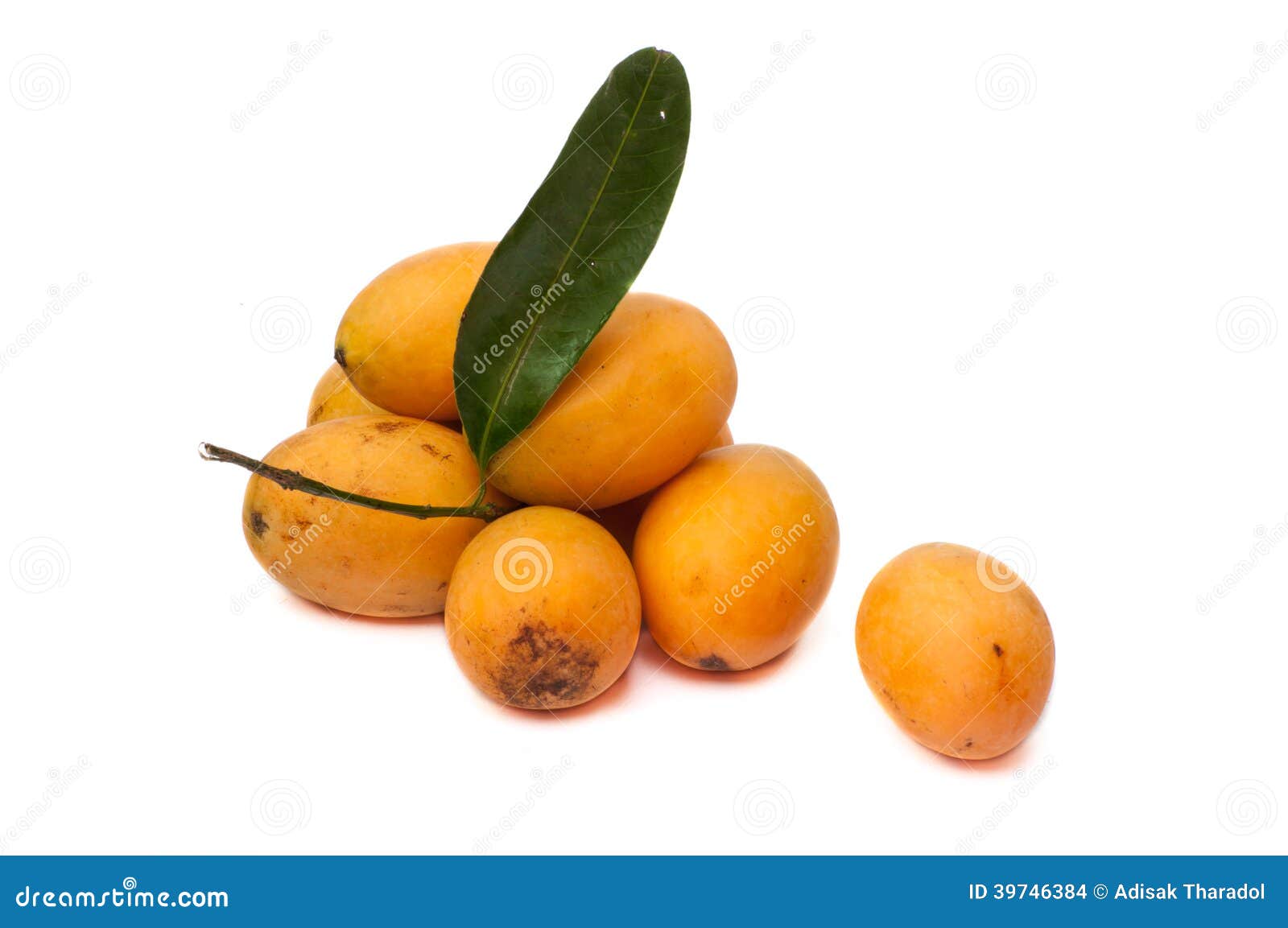 Plum Mango stock photo. Image of thai, marian, plum, tropical - 39746384