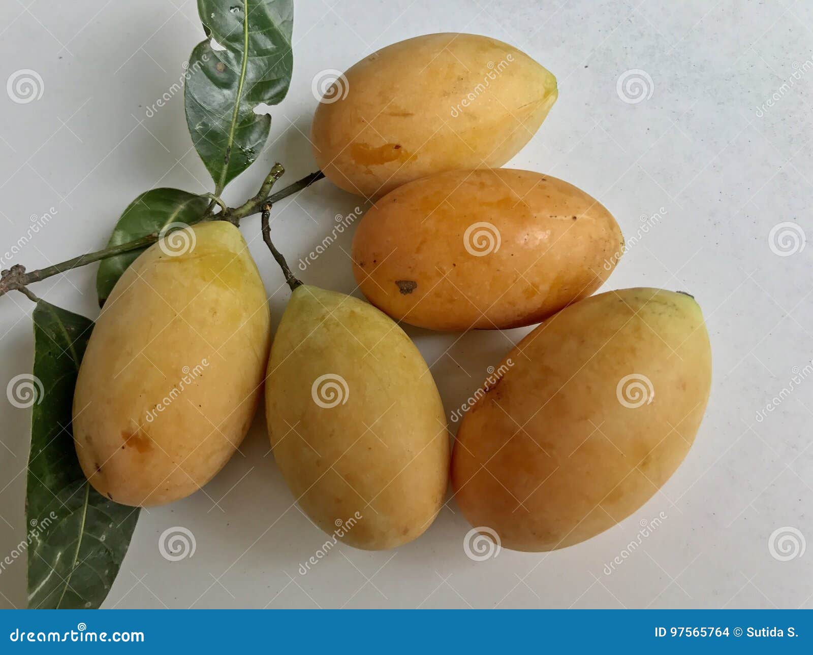 Plum mangoes stock photo. Image of summer, beta, tropical - 97565764