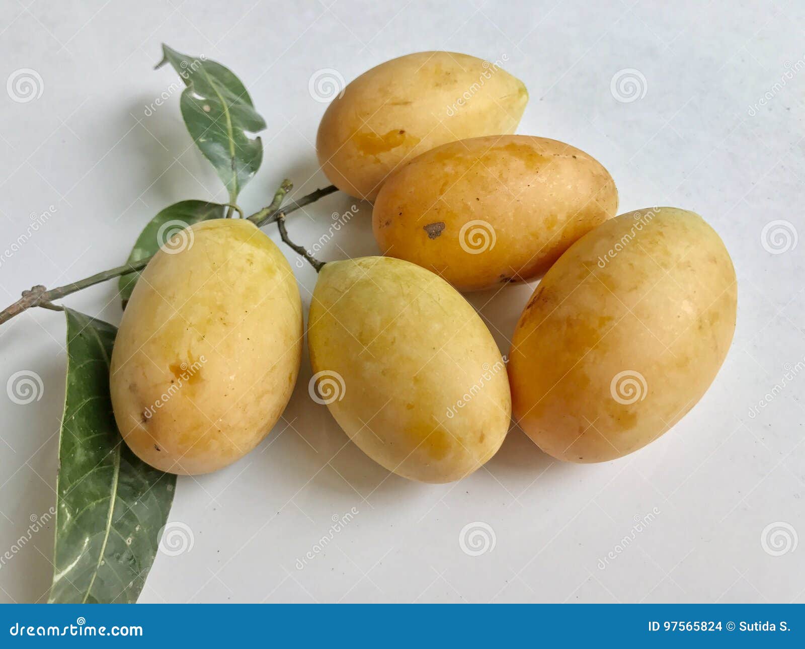 Plum mangoes stock photo. Image of food, organic, ripe - 97565824