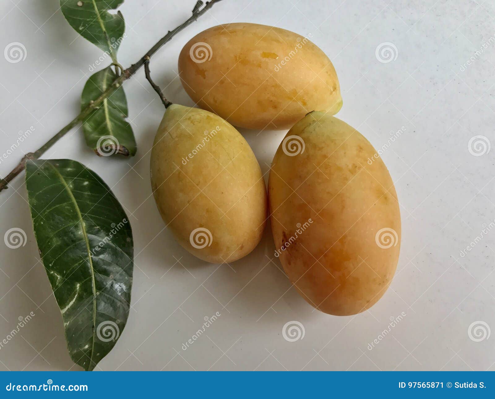Plum mangoes stock image. Image of pile, garden, gourmet - 97565871