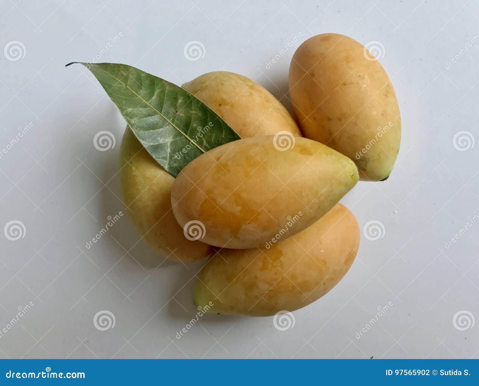 Plum mangoes stock photo. Image of cuisine, snack, ripe - 97565902