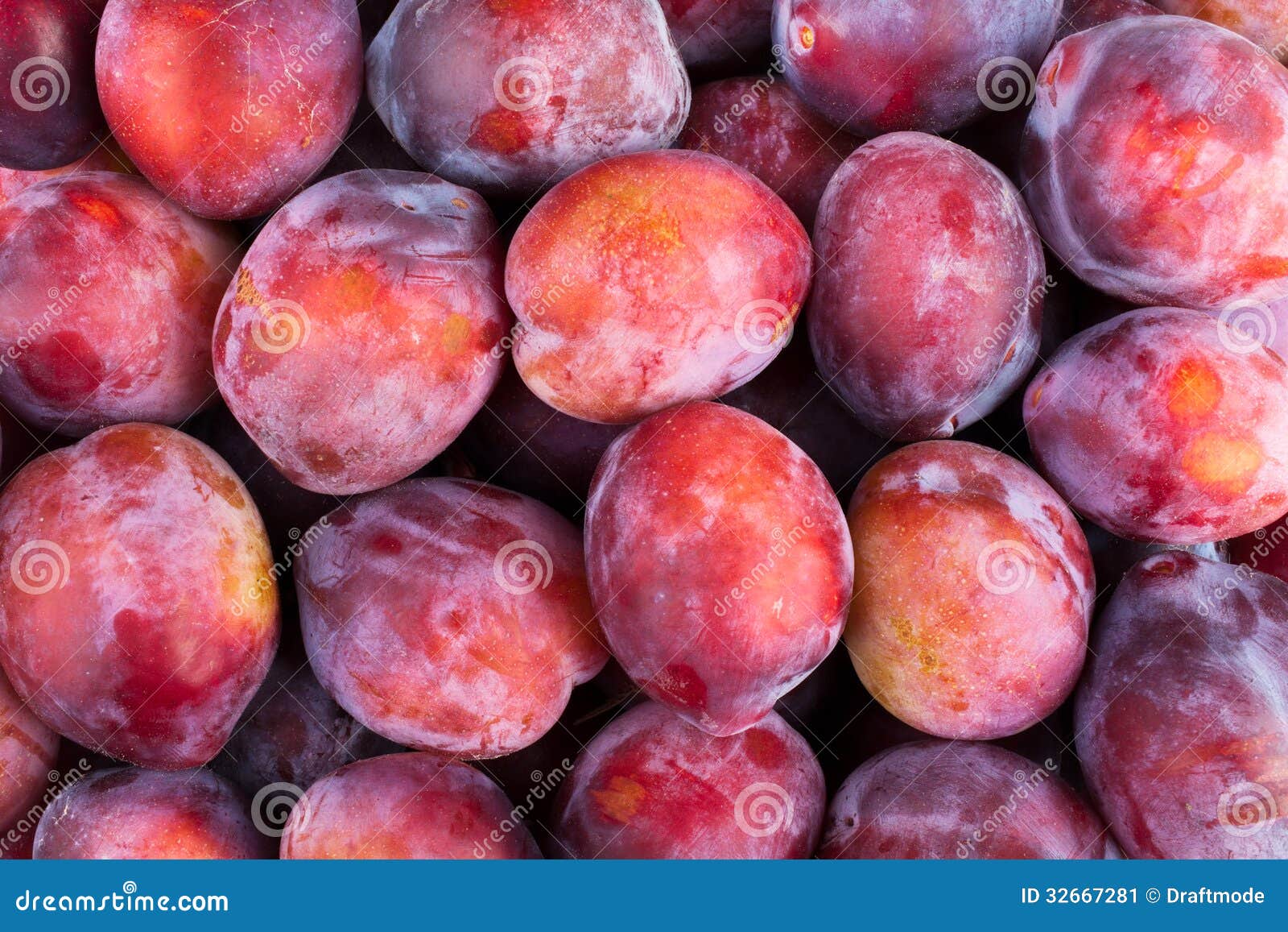 Plum many stock image. Image of plums, plum, sweet, juicy - 32667281