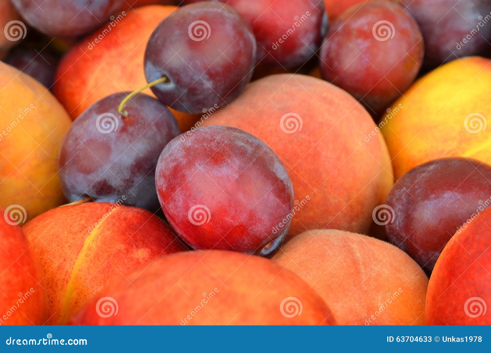 Plum and peach stock image. Image of acidic, antioxidant - 63704633