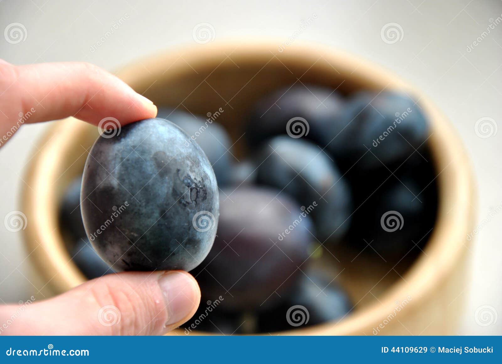 Plum stock image. Image of beatiful, plum, hand, sweet - 44109629