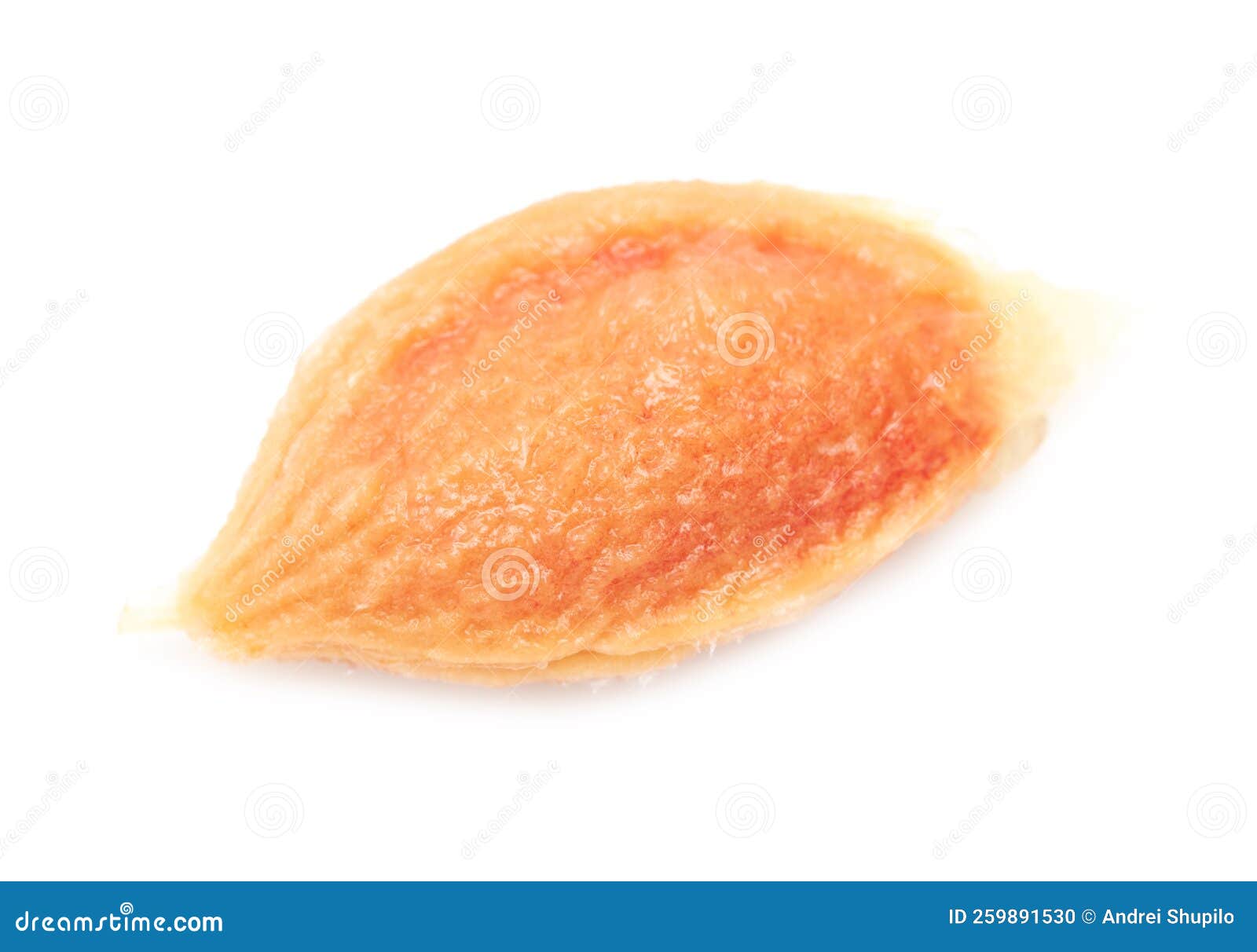 Plum Pit Isolated on White Background. Stock Photo - Image of healthy ...