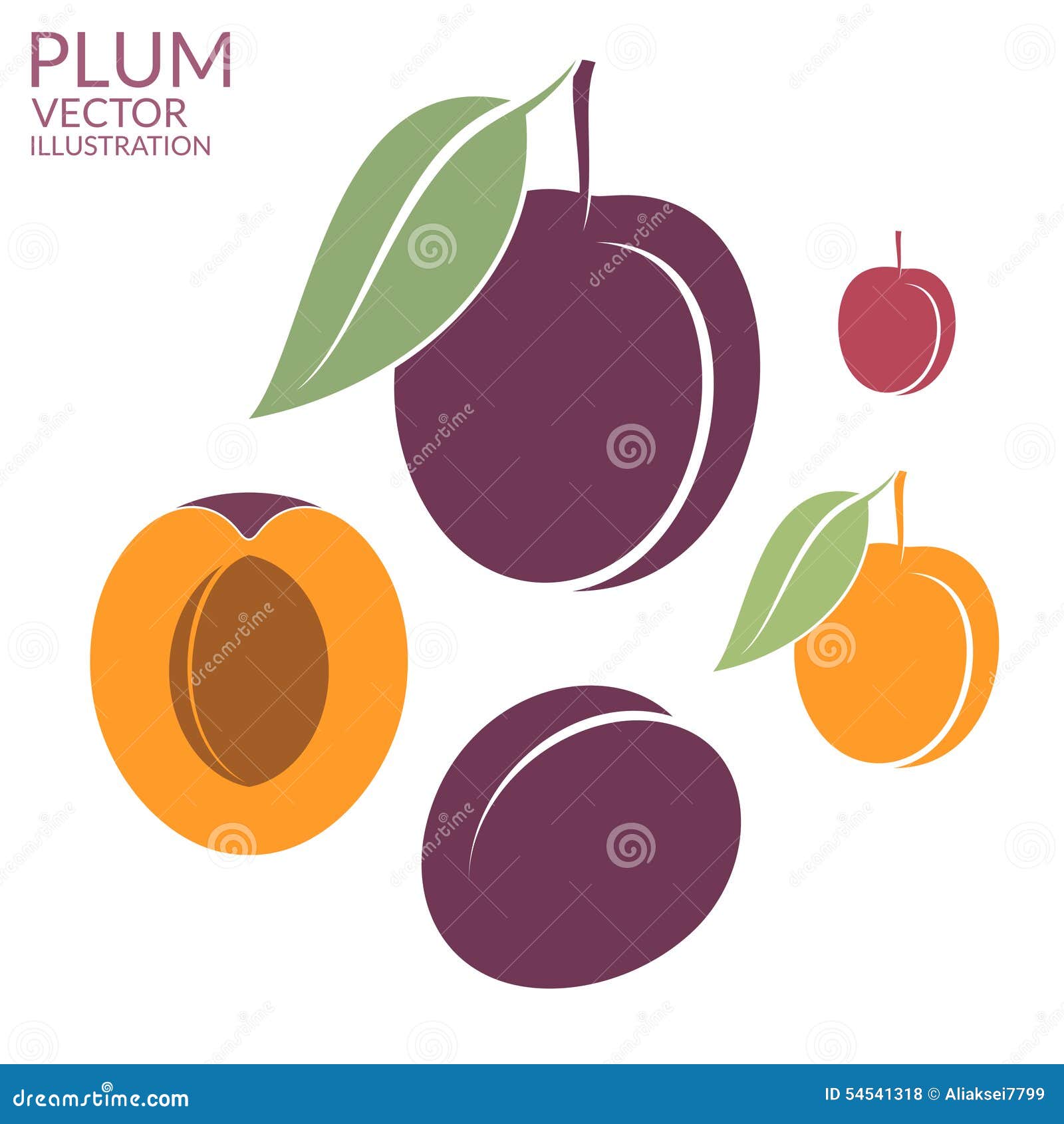 Plum. Set stock vector. Illustration of vector, greengrocer - 54541318