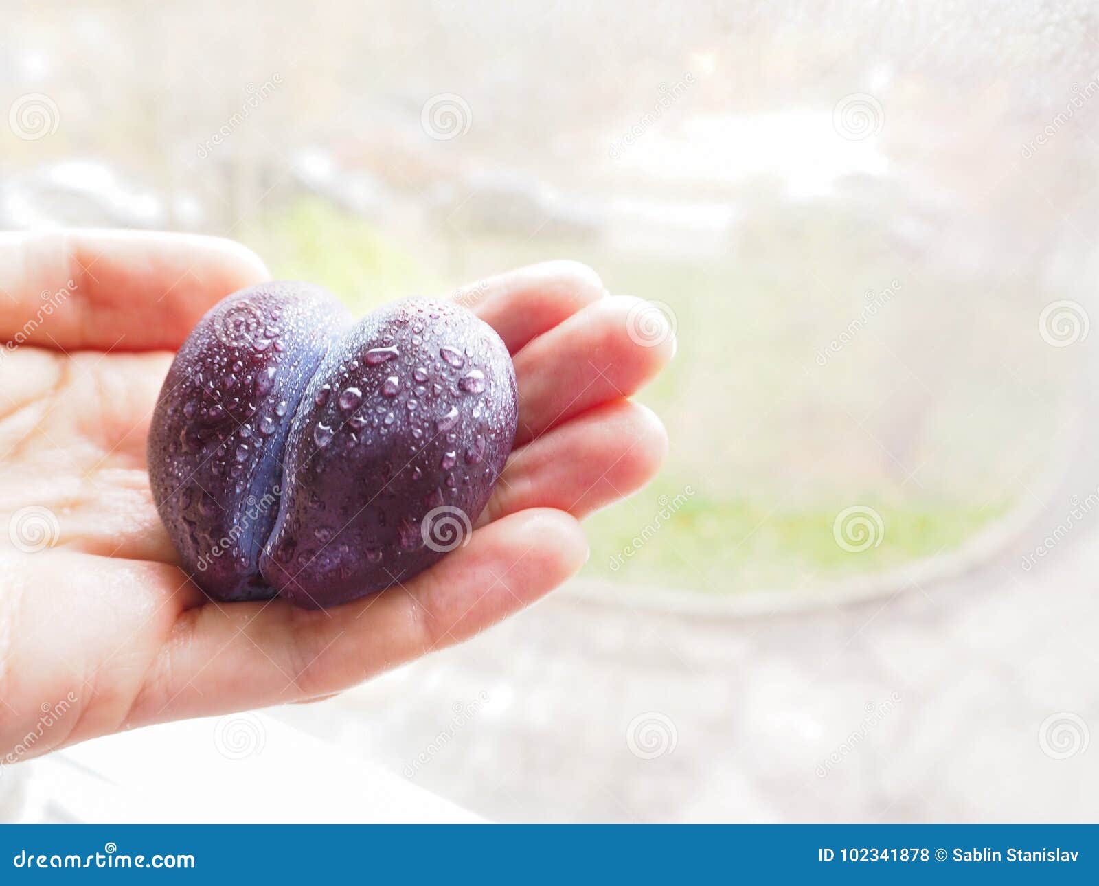 Plum in the Shape of a Heart in the Women`s Hands. Stock Photo - Image ...