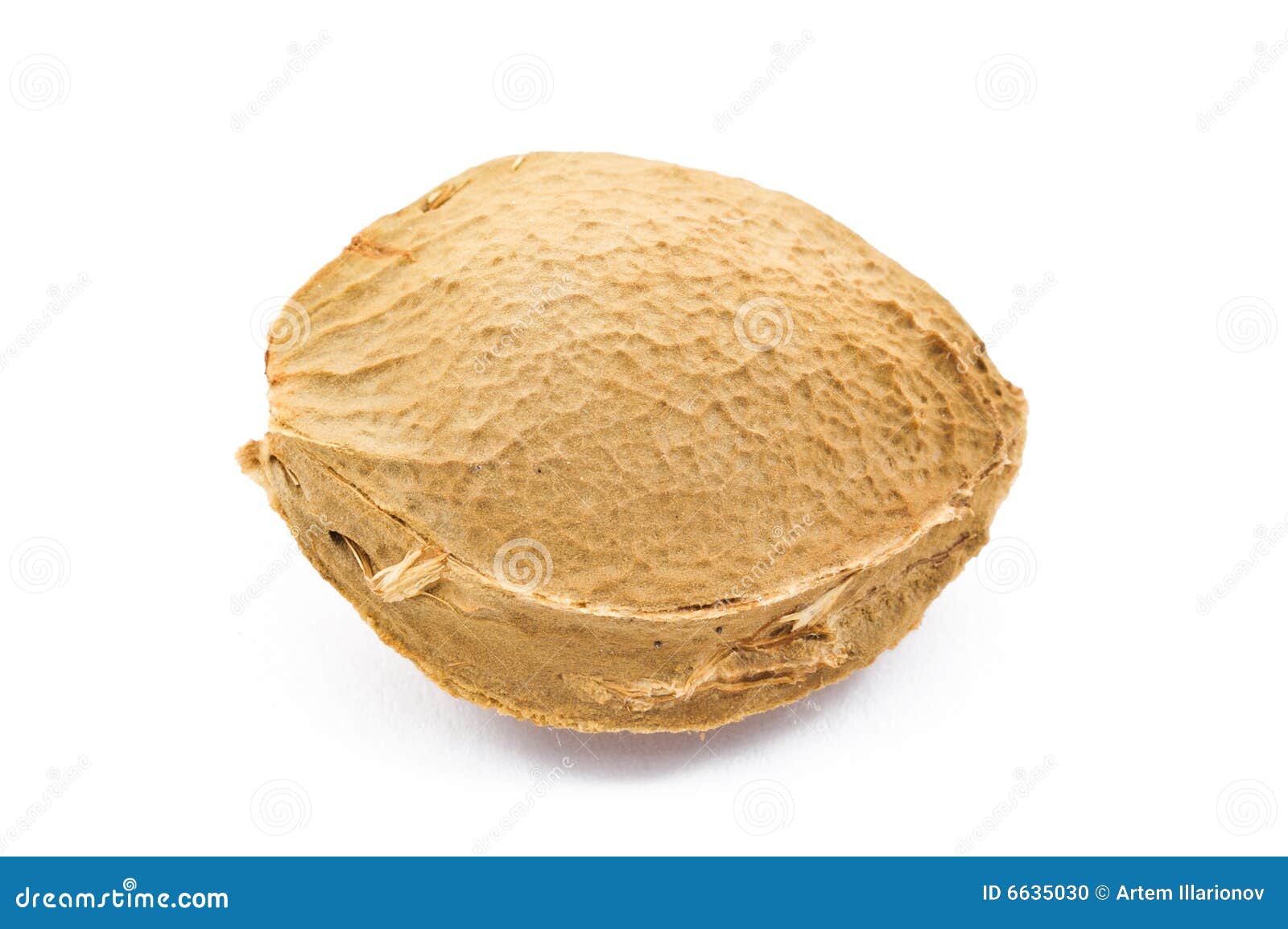 Plum stone stock photo. Image of stone, greengrocery, seeds - 6635030