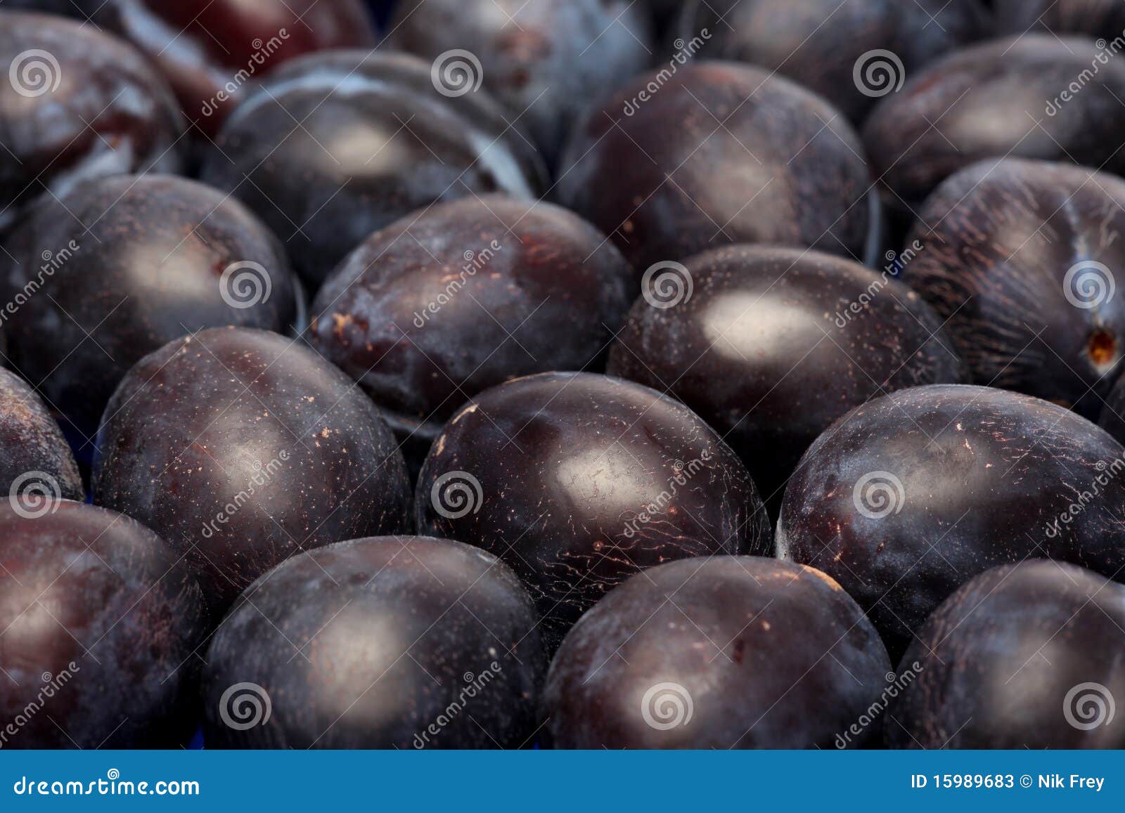 Plum texture stock image. Image of food, slice, fresh - 15989683