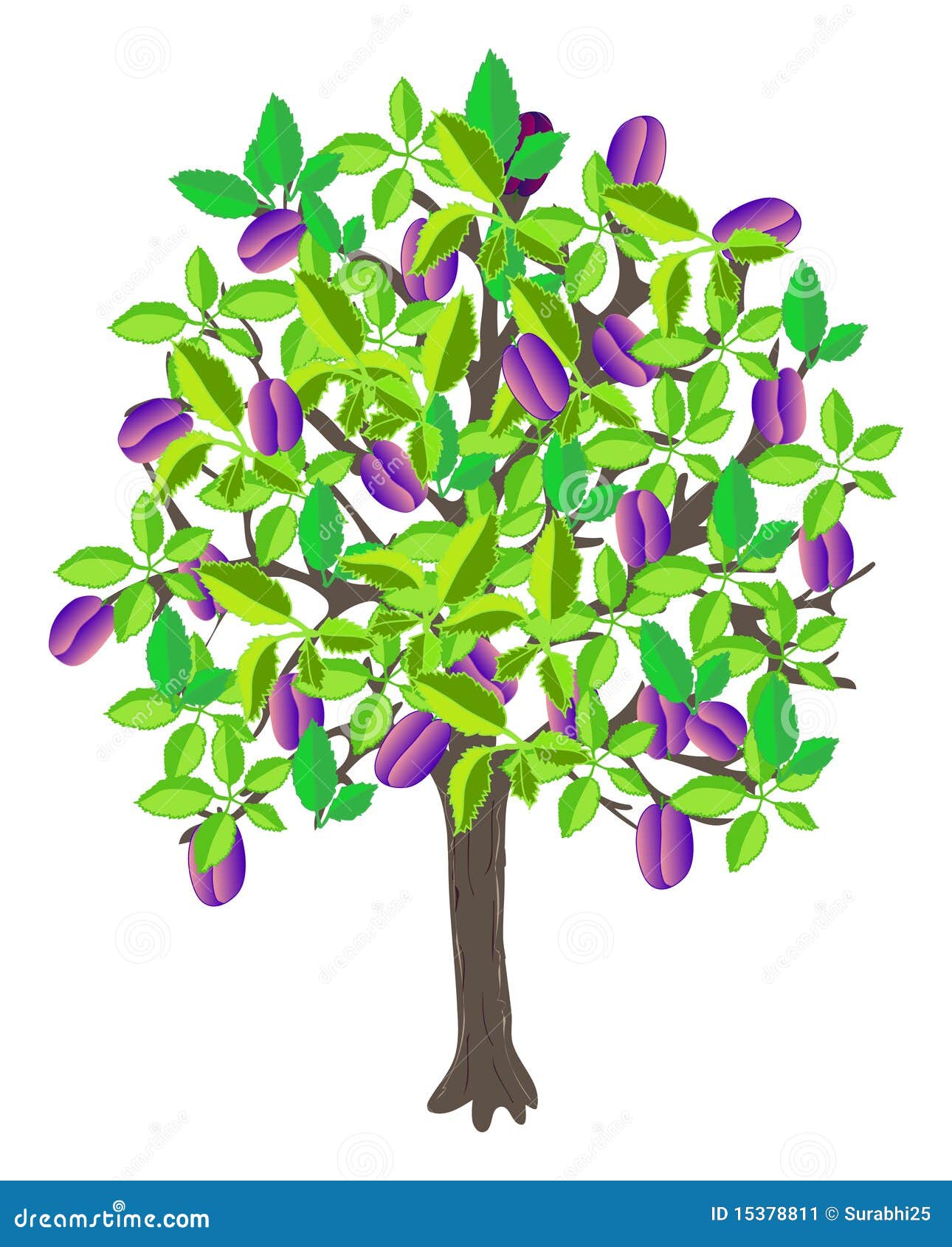 Plum tree stock vector. Illustration of ripe, stem, branch - 15378811