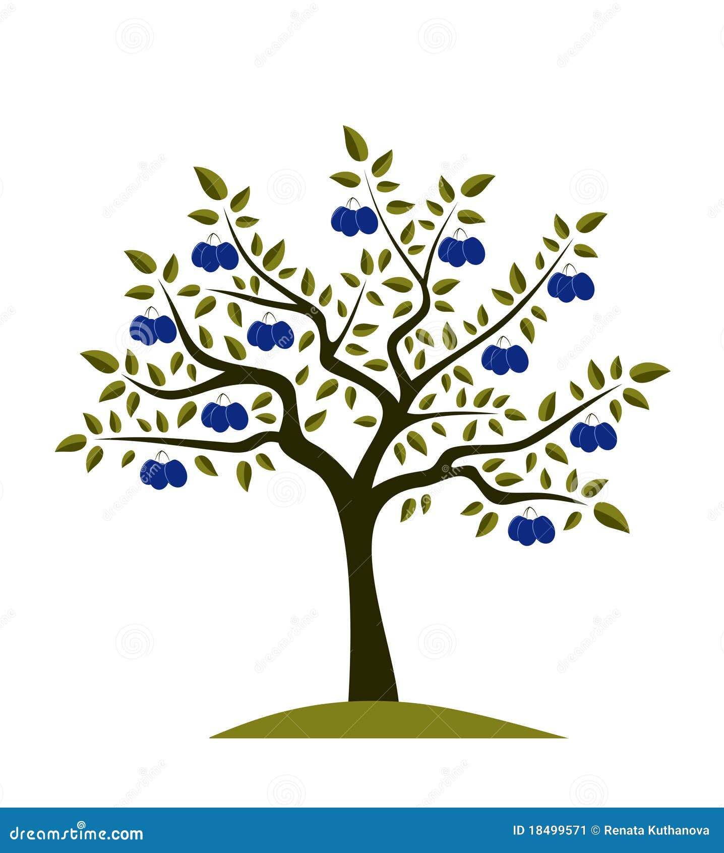 Plum tree stock vector. Illustration of card, object - 18499571