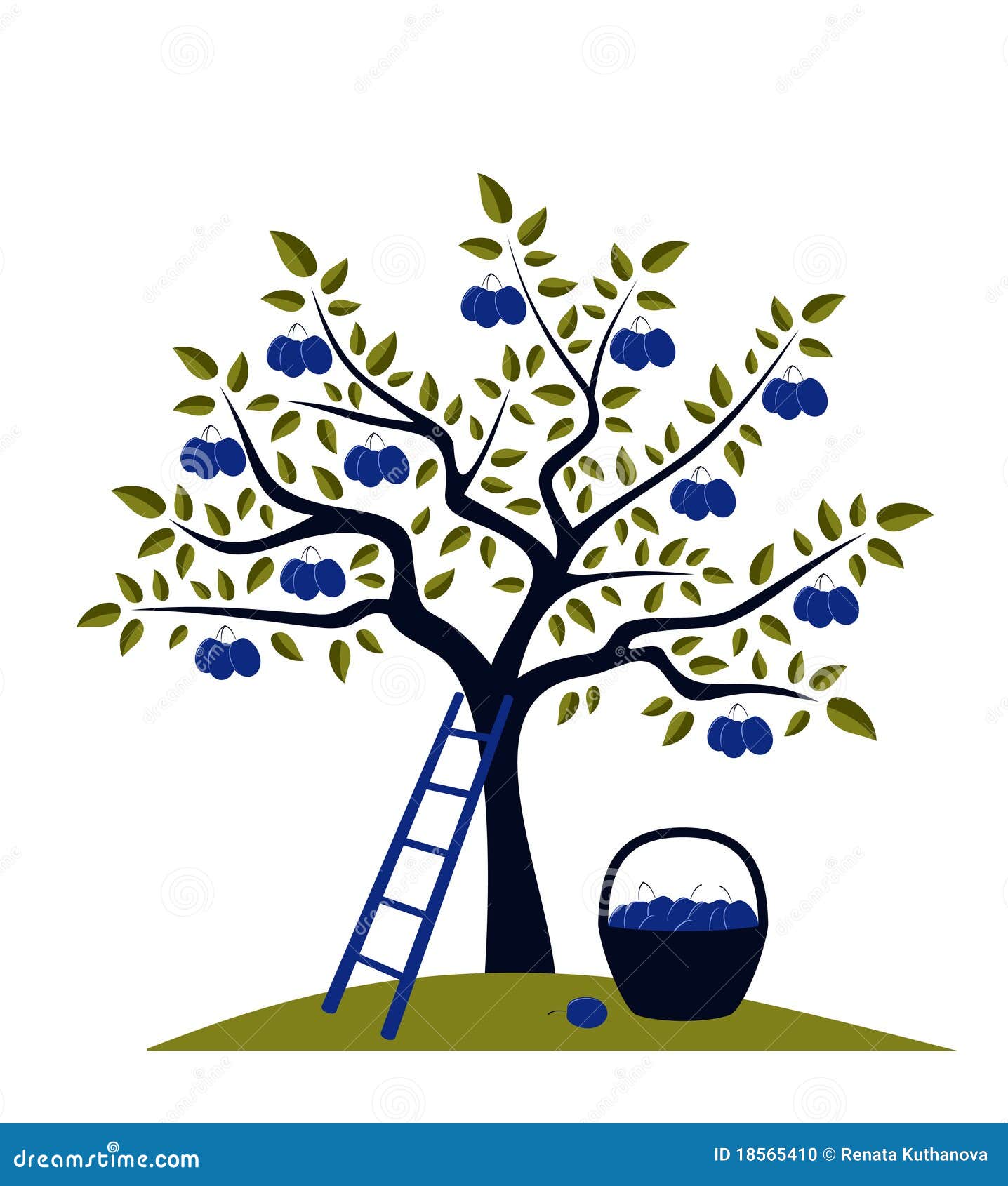 Plum tree stock vector. Illustration of icon, autumn - 18565410