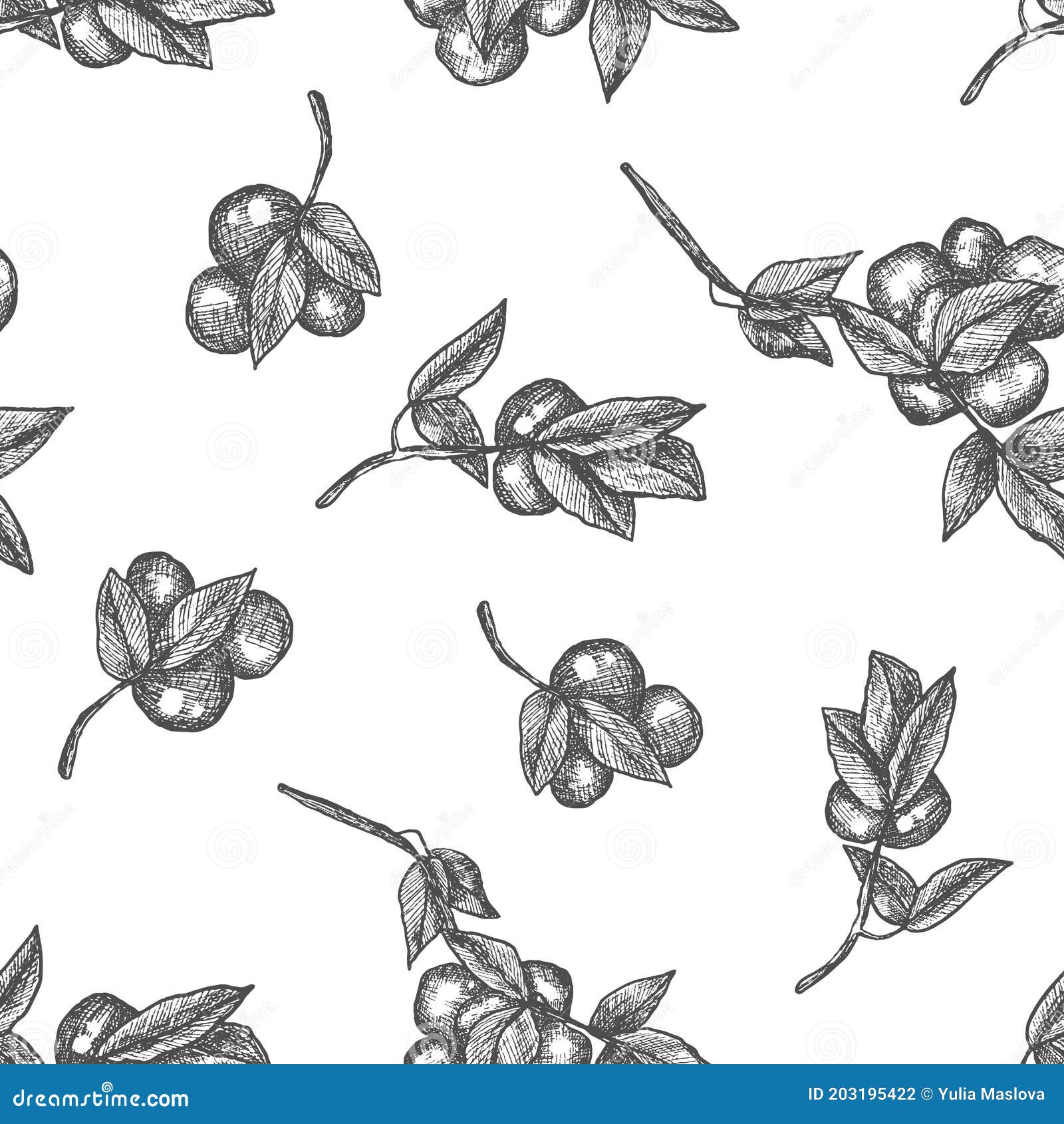 Plum Tree Branch. Line Art, Sketch, Engraving, Line Art. Seamless ...