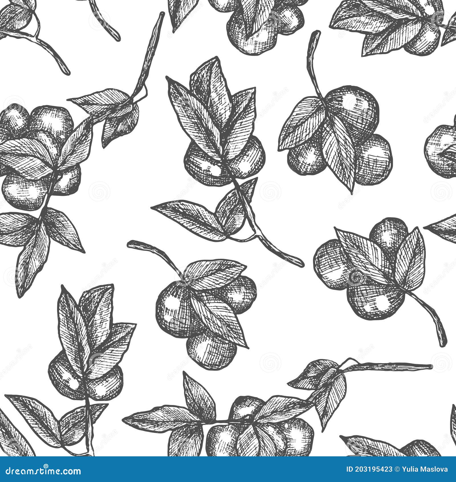 Plum Tree Branch. Line Art, Sketch, Engraving, Line Art. Seamless ...