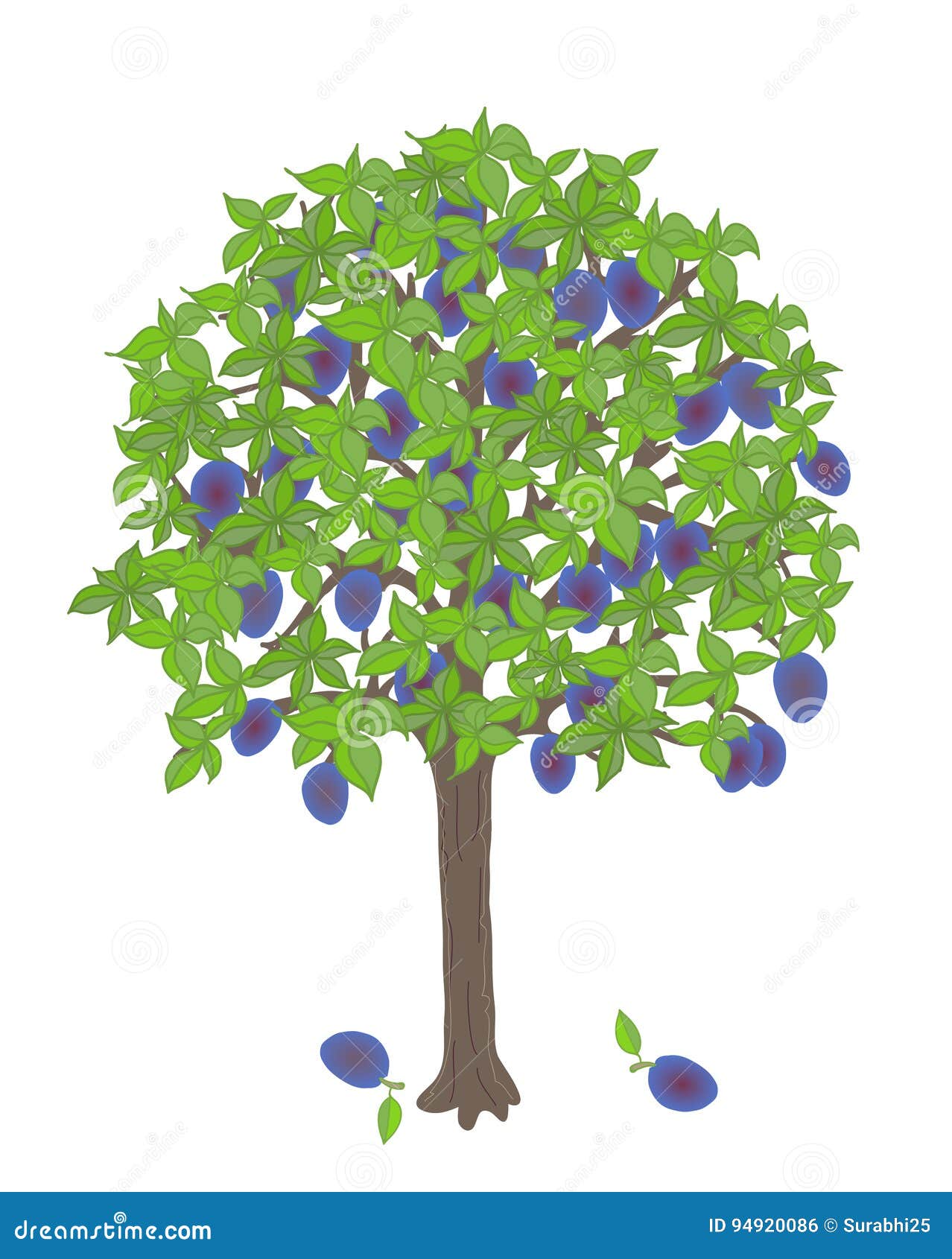Plum tree stock vector. Illustration of vector, foliage - 94920086