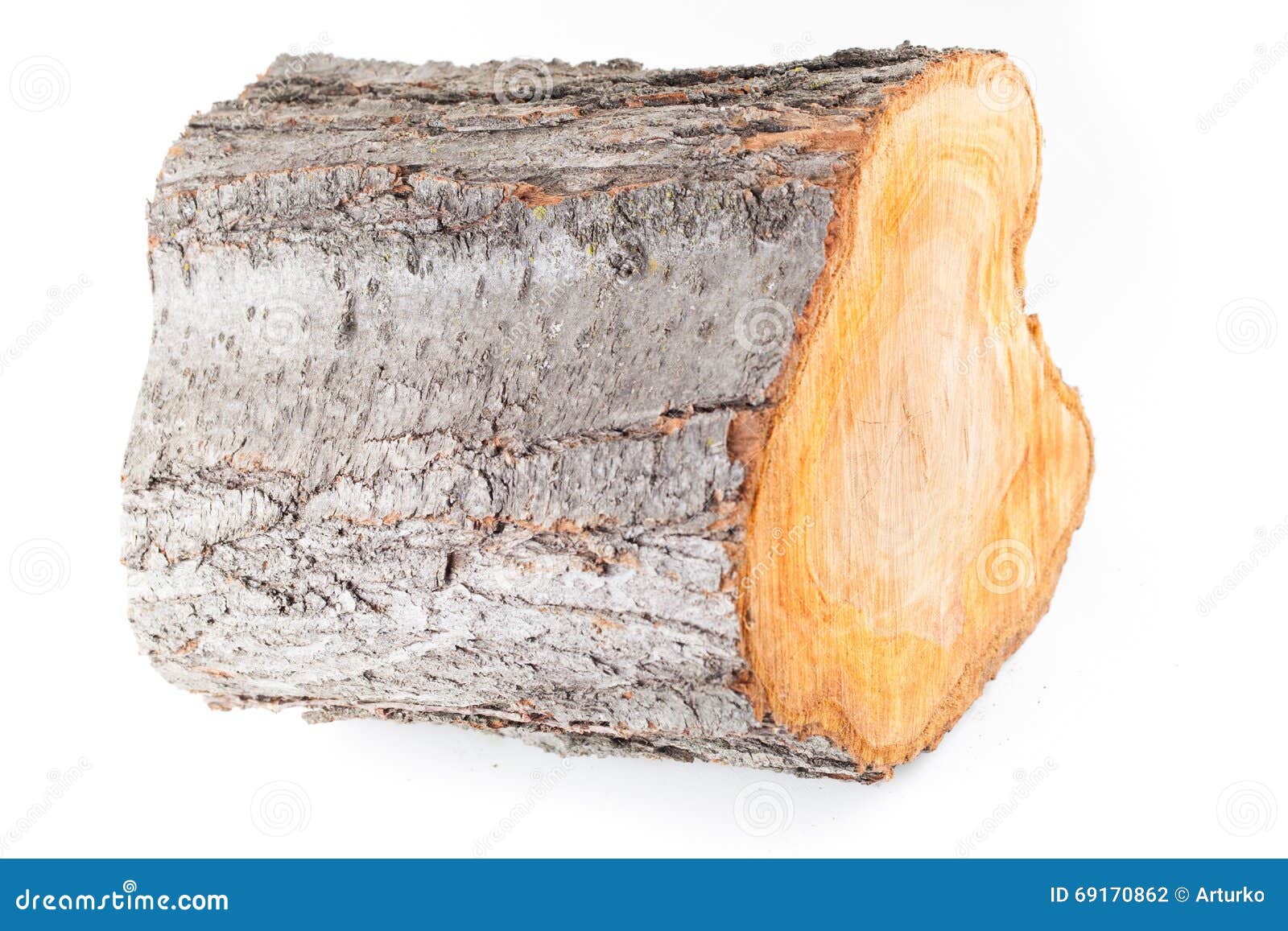 Plum tree stub log stock photo. Image of brown, ring - 69170862