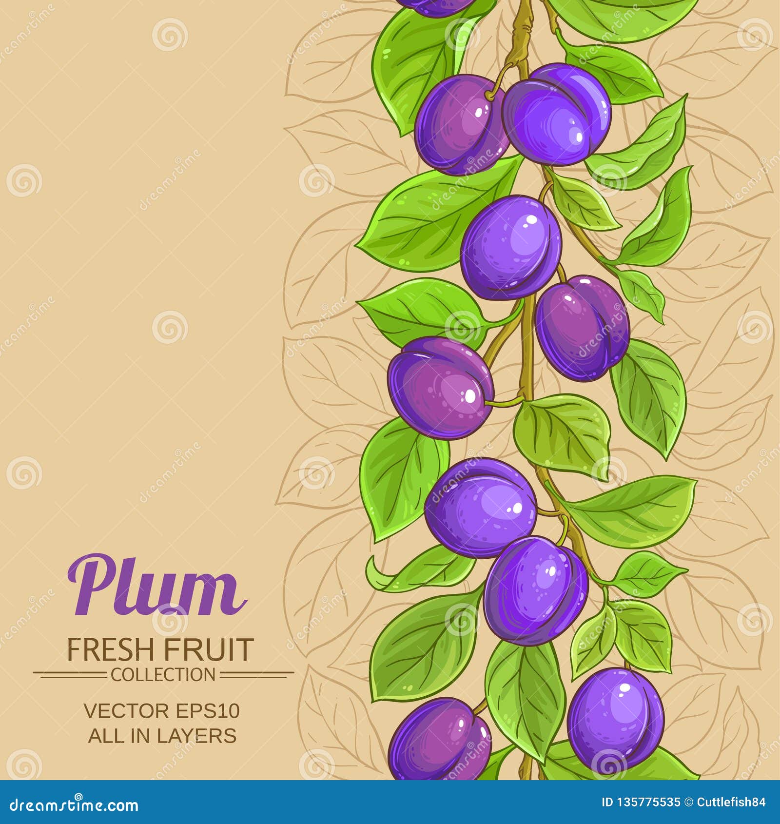 Plum vector background stock vector. Illustration of isolated - 135775535