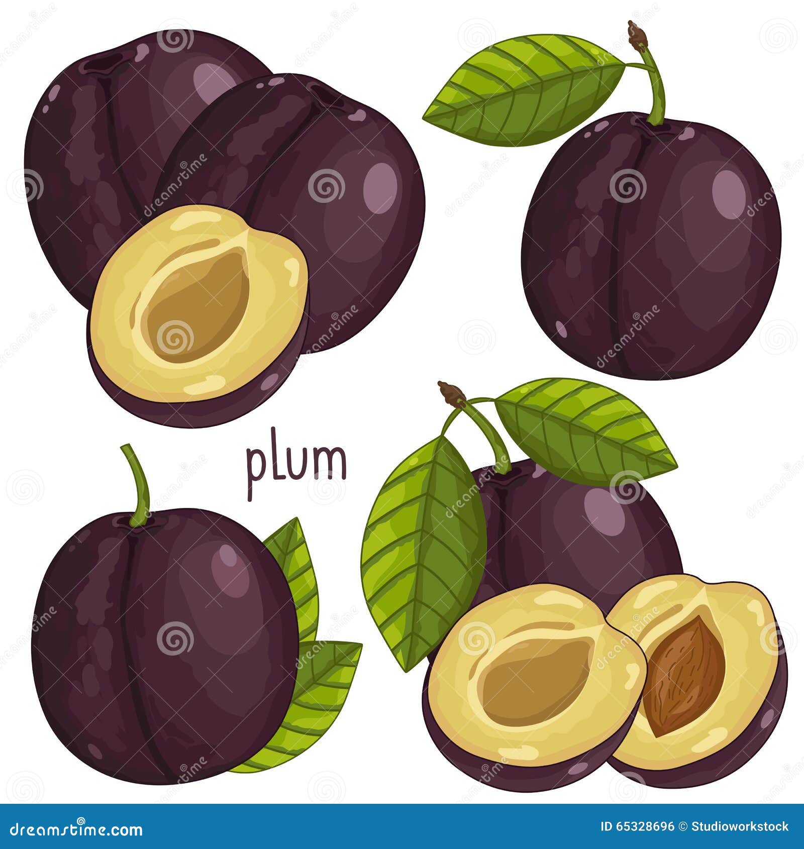 Plum , Vector. stock vector. Illustration of sweet, fresh - 65328696