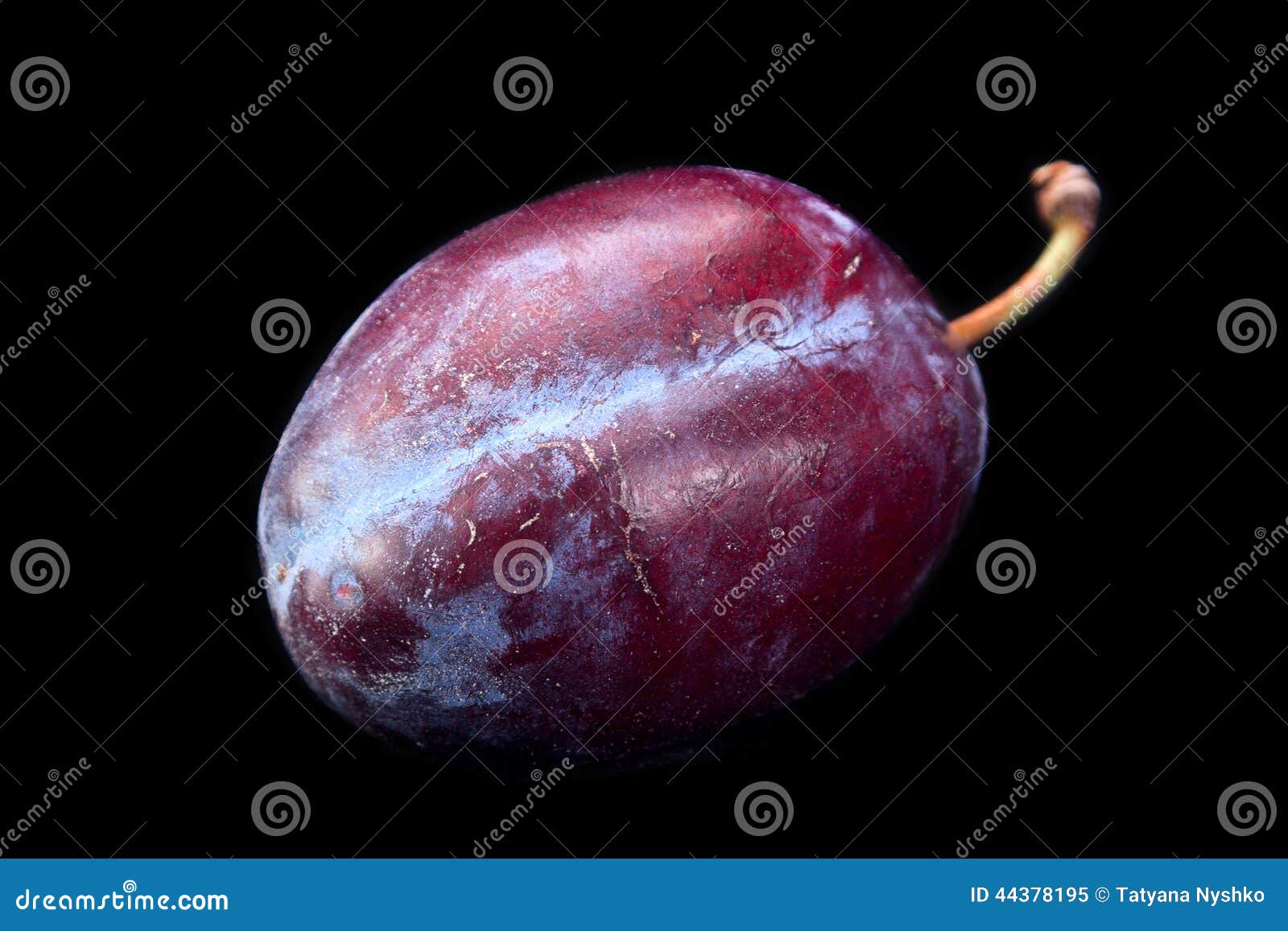 Plum vegetable on black stock image. Image of prune, purple - 44378195