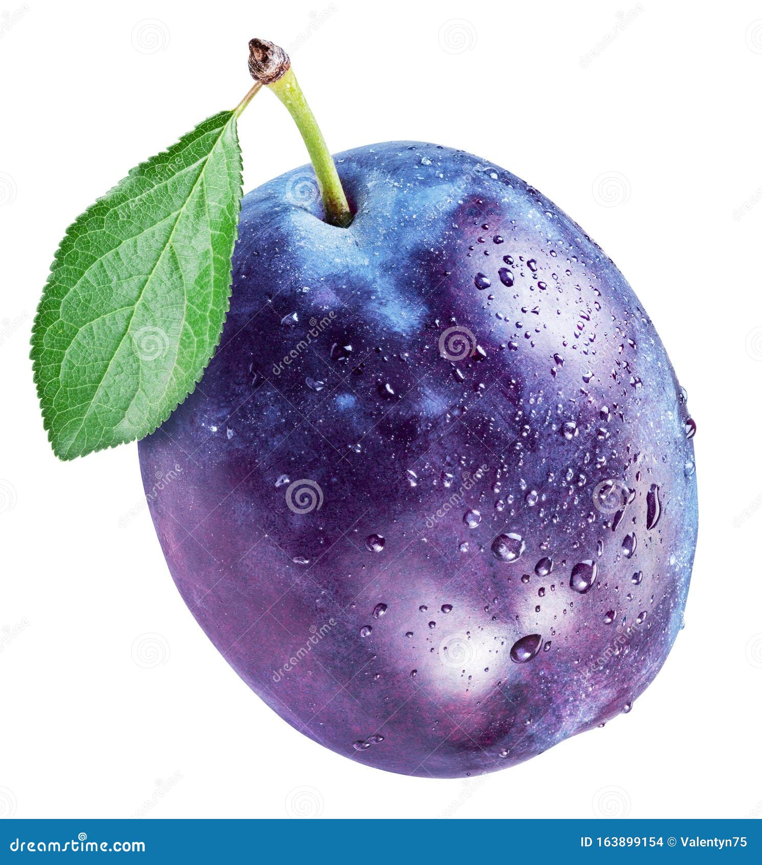 Plum with Water Drops. File Contains Clipping Path Stock Photo - Image ...