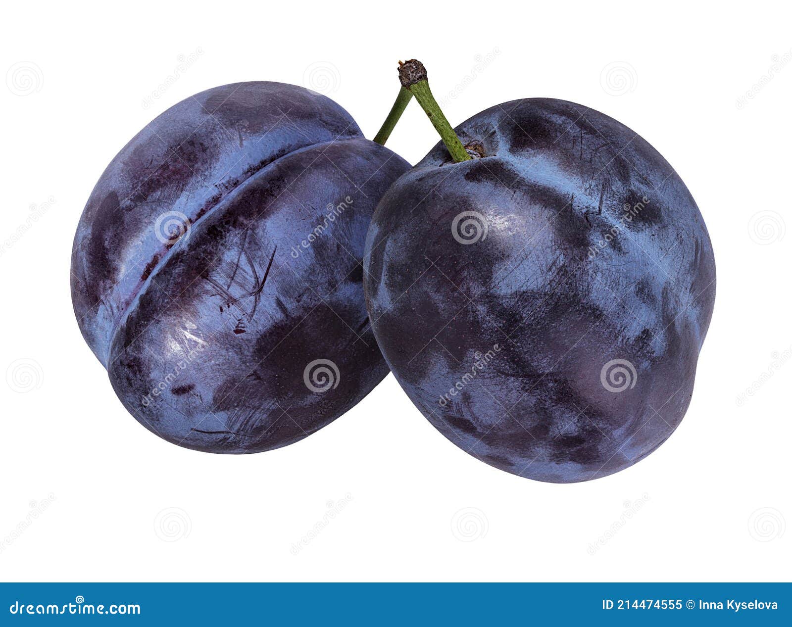 Plum on a white stock image. Image of healthy, ripe - 214474555