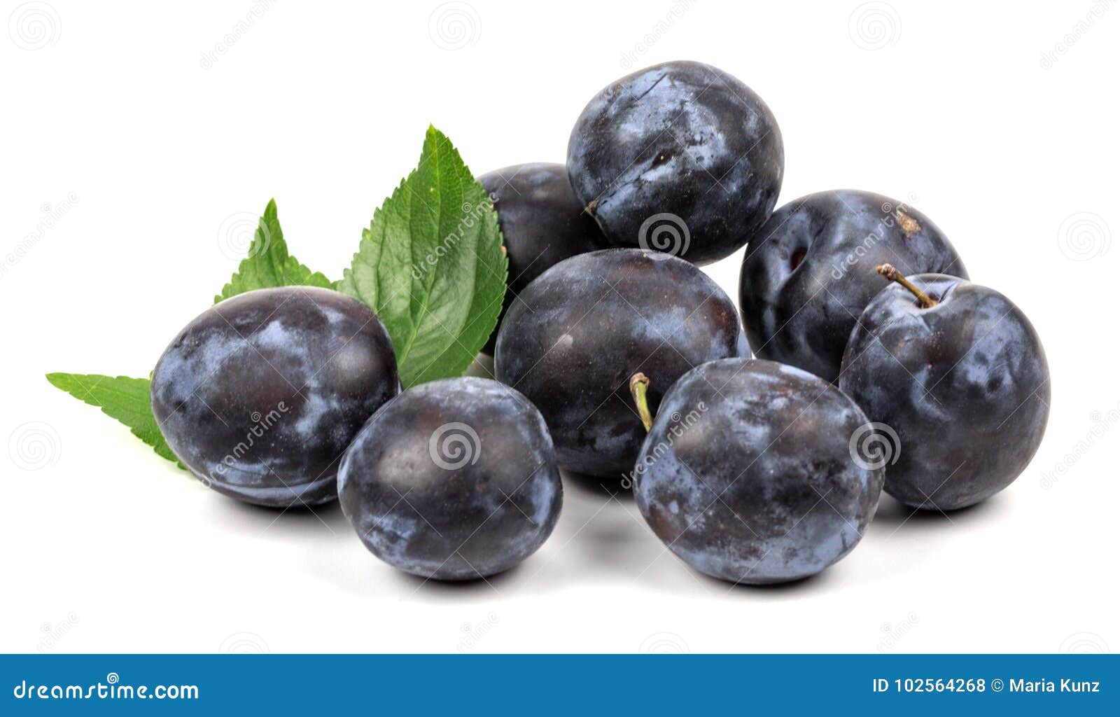 Plum on white background stock photo. Image of white - 102564268
