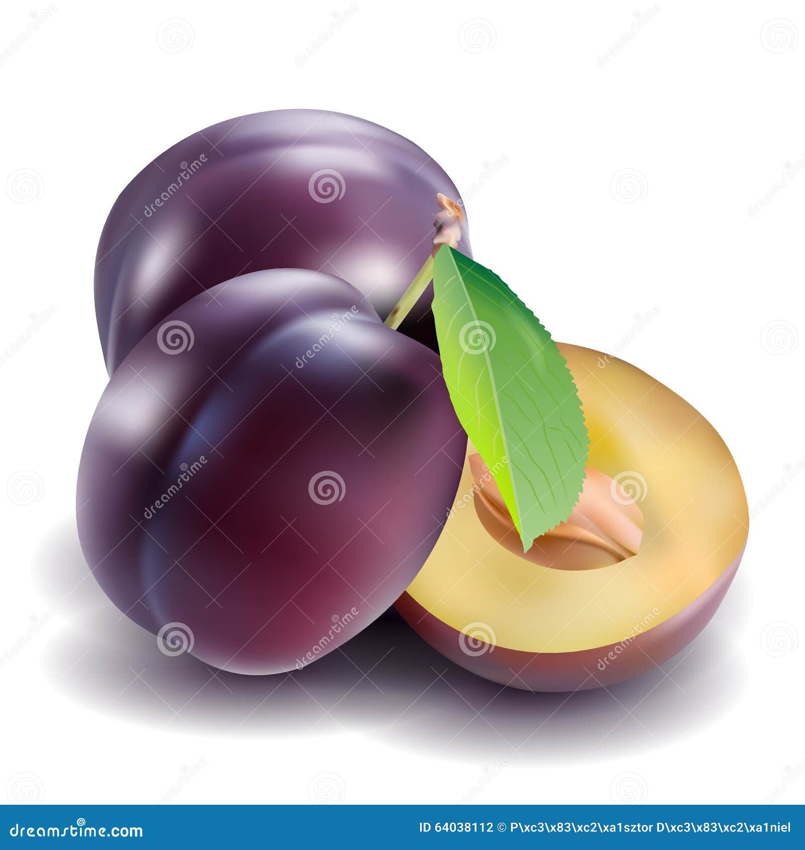Plum stock vector. Illustration of freshness, berry, green - 64038112