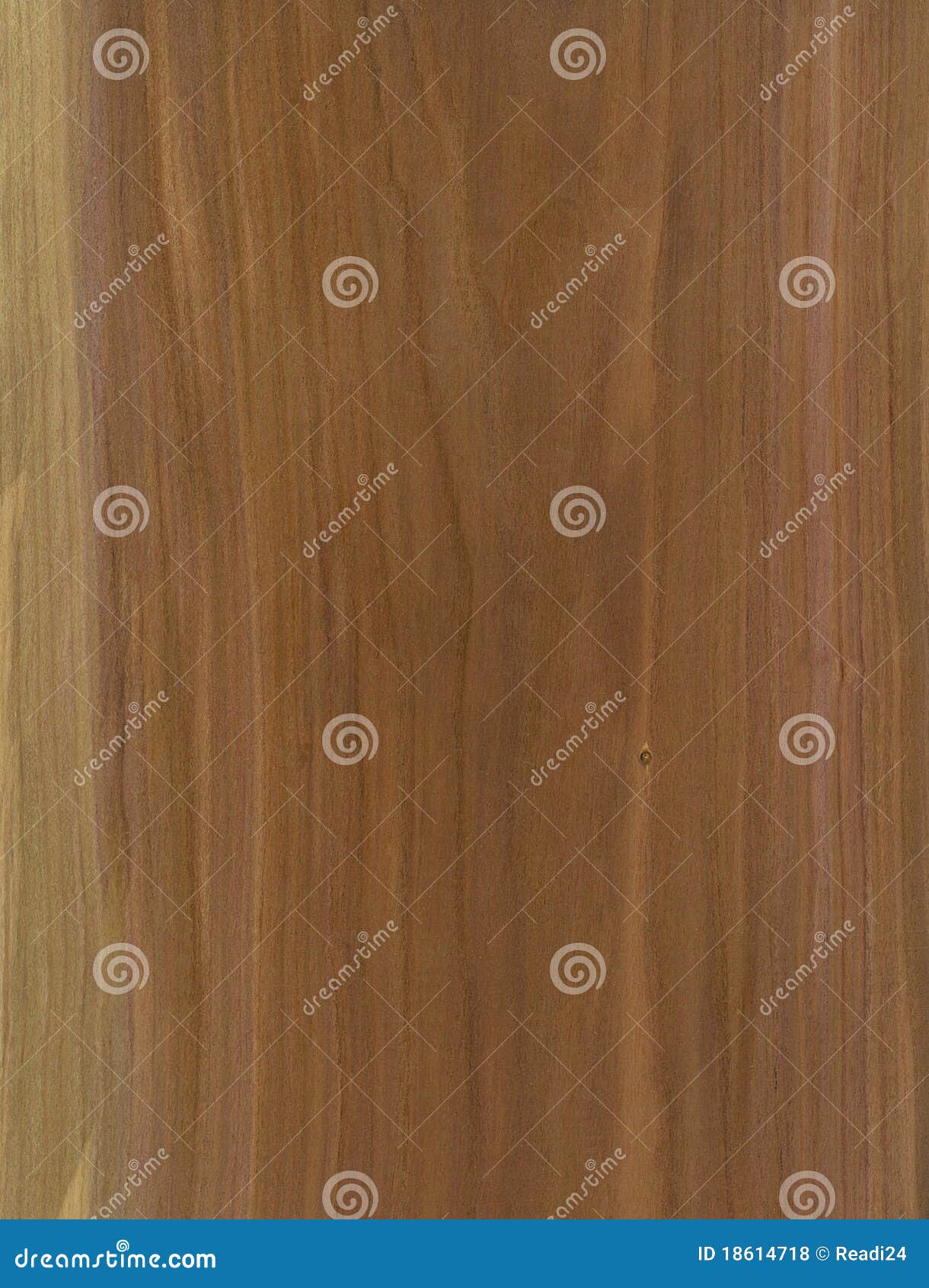 Plum wood veneer texture stock photo. Image of grain - 18614718