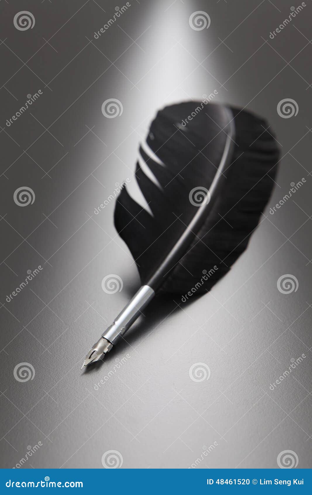 Pluma antigua foto de archivo. Imagen de delicado, tradicional - 48461520