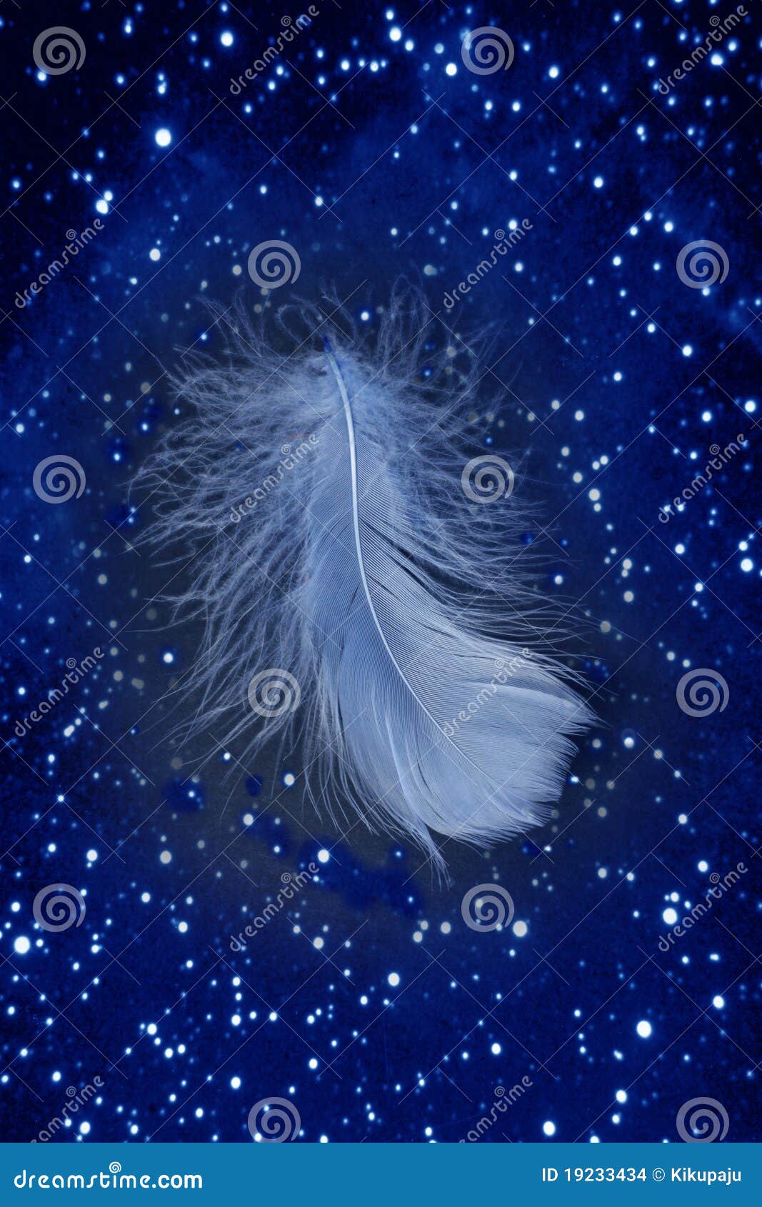 Pluma azul foto de archivo. Imagen de plumas, plumoso - 19233434