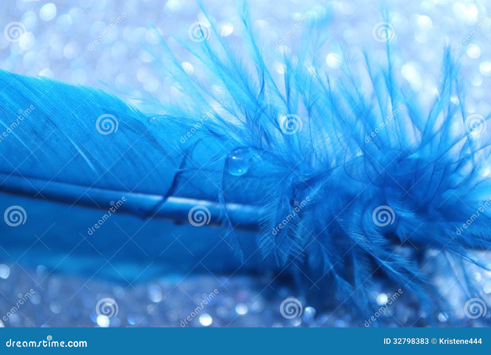 Pluma azul imagen de archivo. Imagen de delicado, textura - 32798383