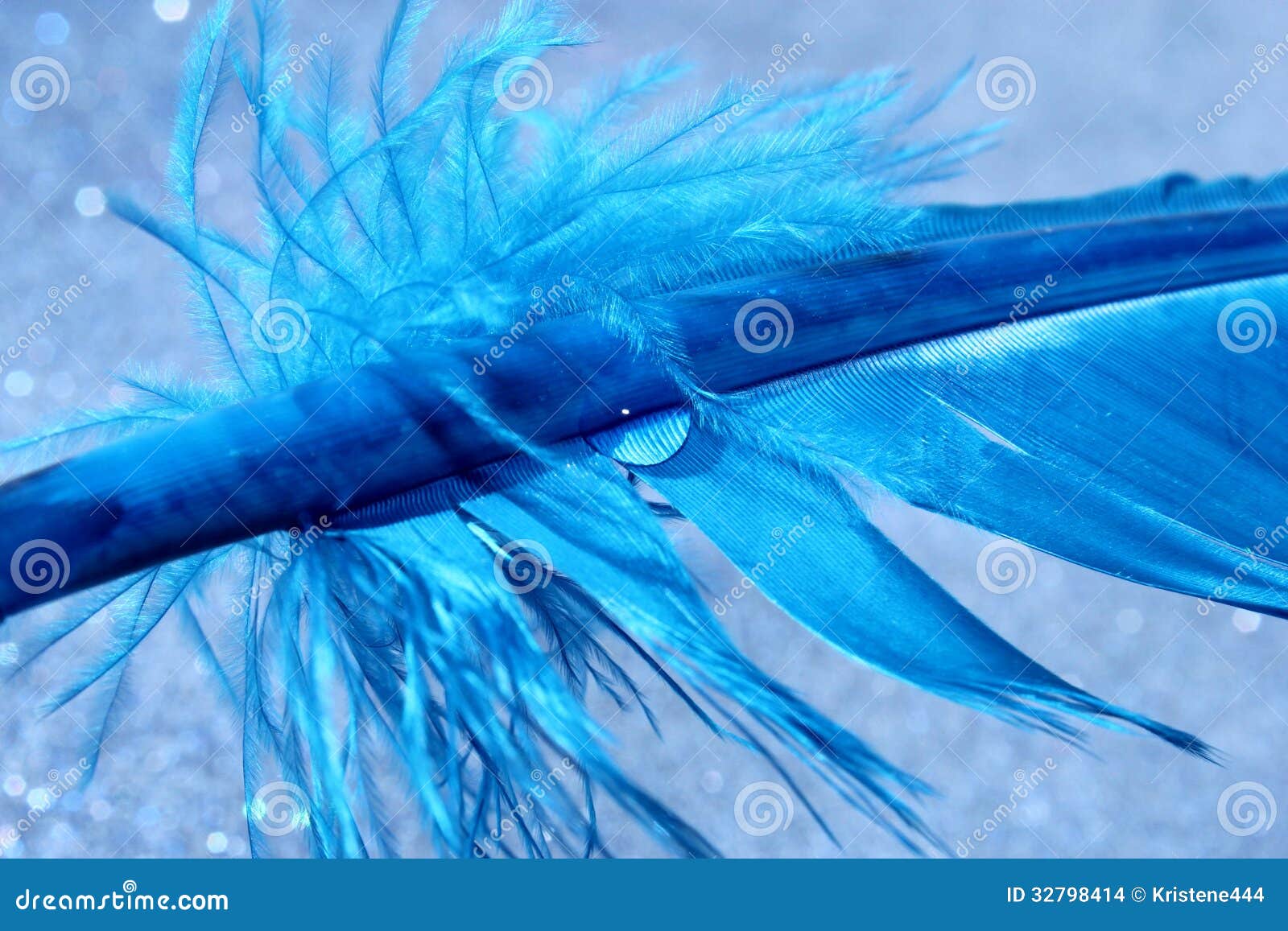 Pluma azul foto de archivo. Imagen de claro, agua, plumaje - 32798414