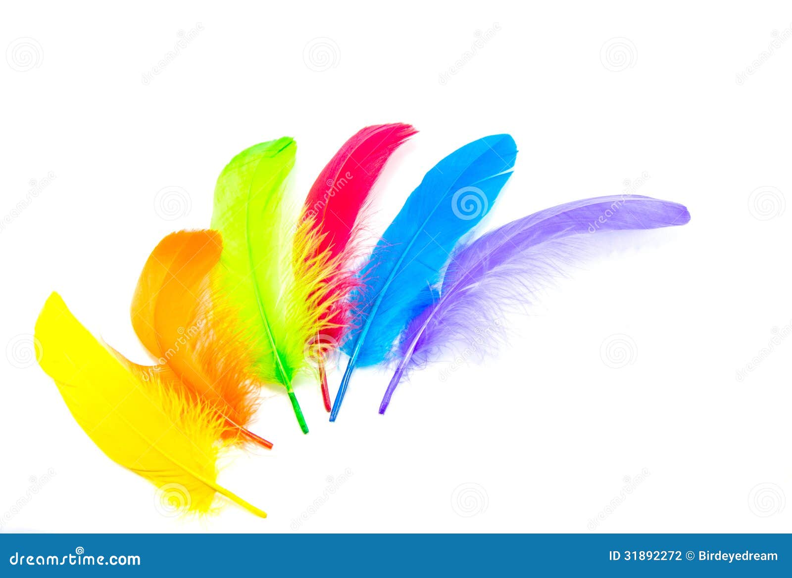 Pluma del color foto de archivo. Imagen de tropical, belleza - 31892272