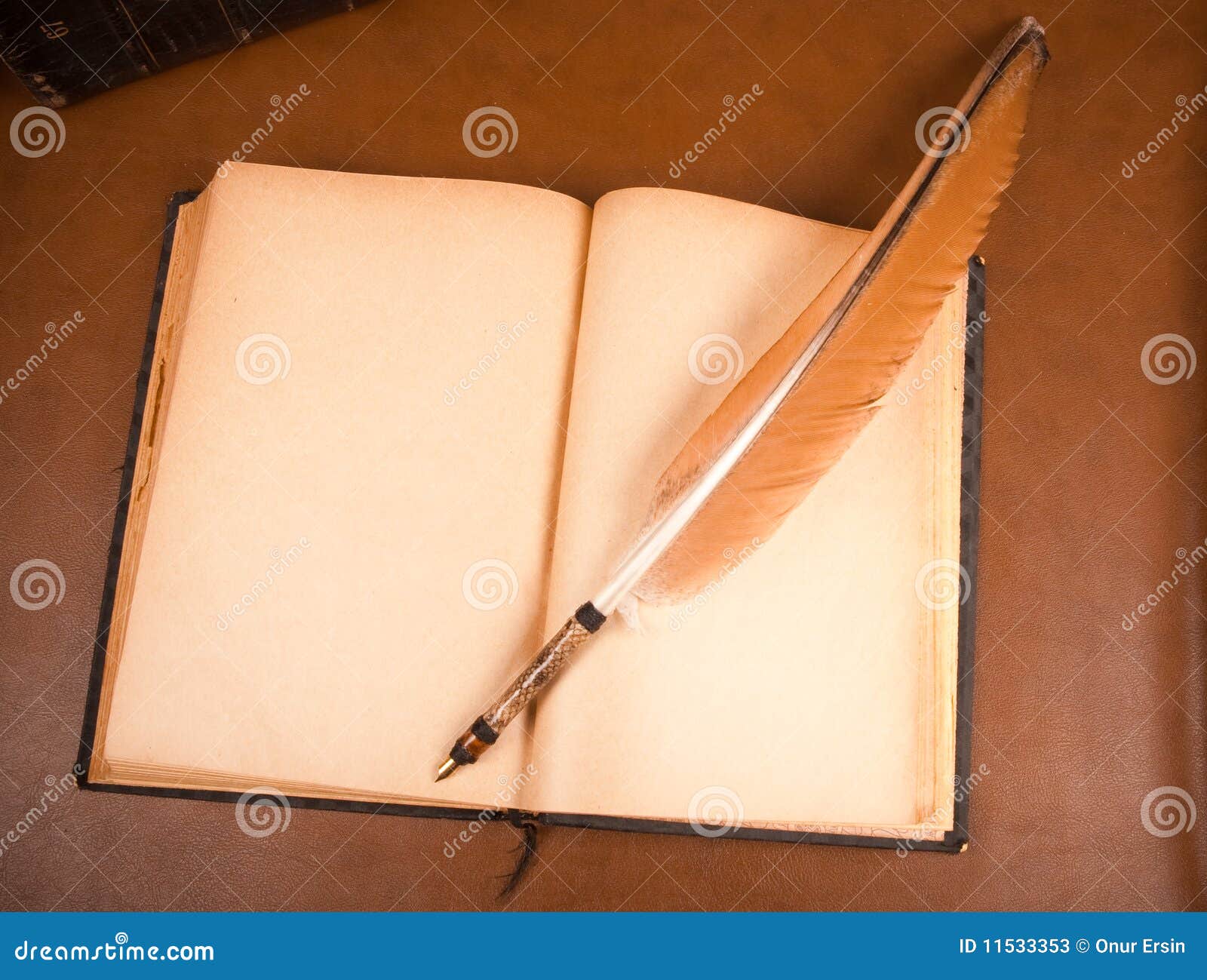 Pluma Del Libro Viejo Y De Canilla Imagen de archivo - Imagen de ...