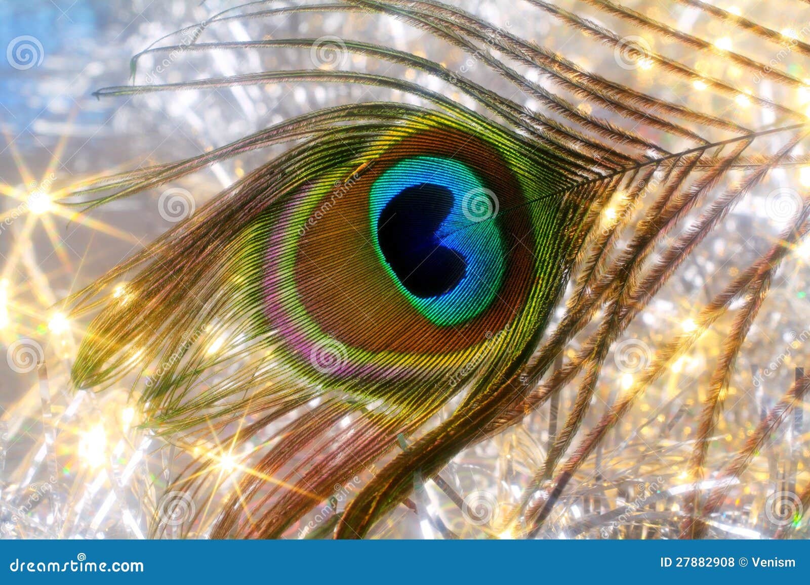 Pluma del pavo real foto de archivo. Imagen de pluma - 27882908