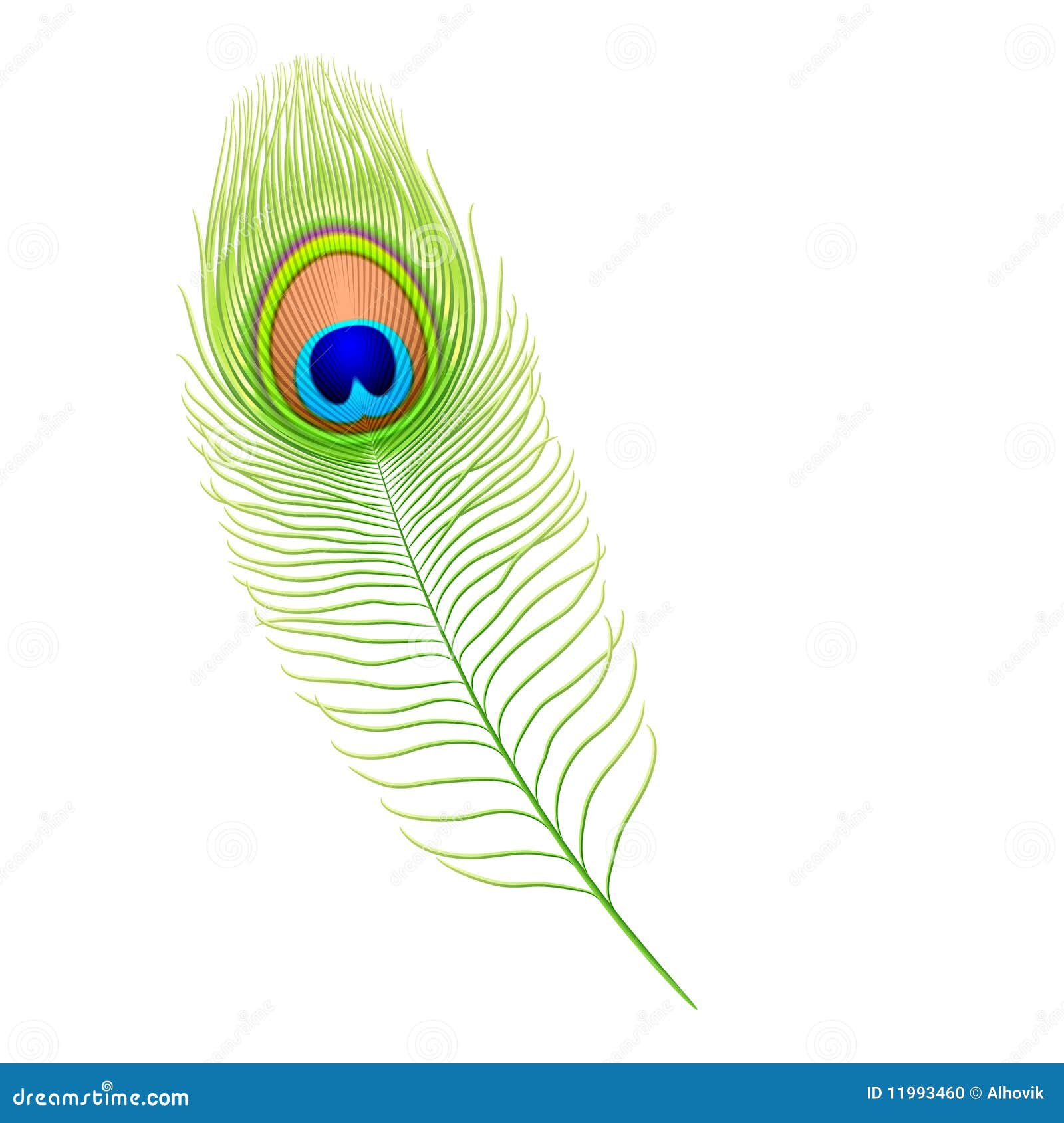 Pluma Del Pavo Real. Vector. Ilustración del Vector - Ilustración de ...