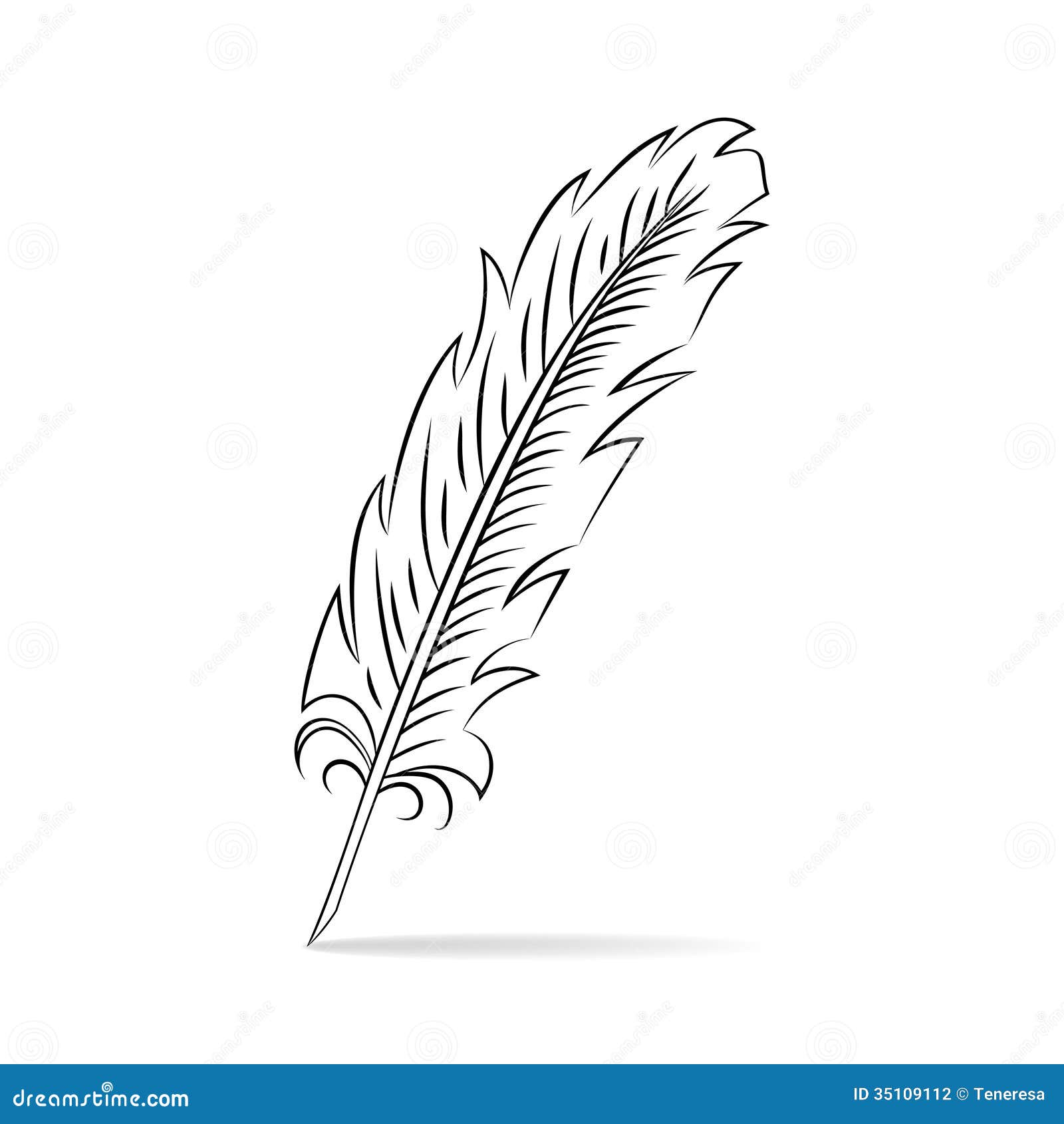 Pluma dibujada mano ilustración del vector. Ilustración de plumaje ...